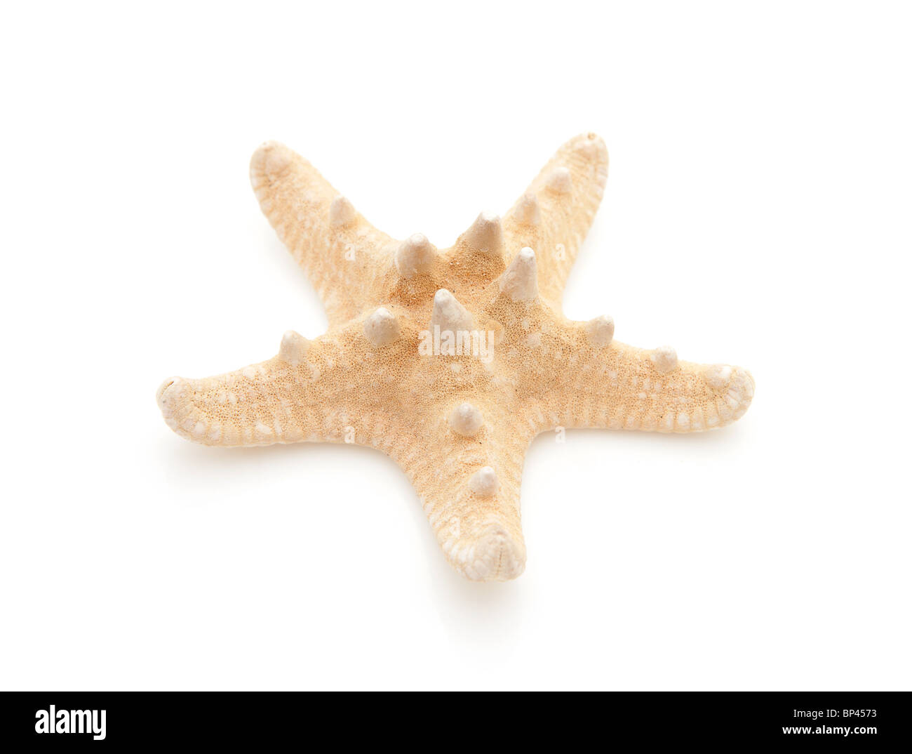 Starfish on aquarium Cut Out Stock Images & Pictures - Alamy