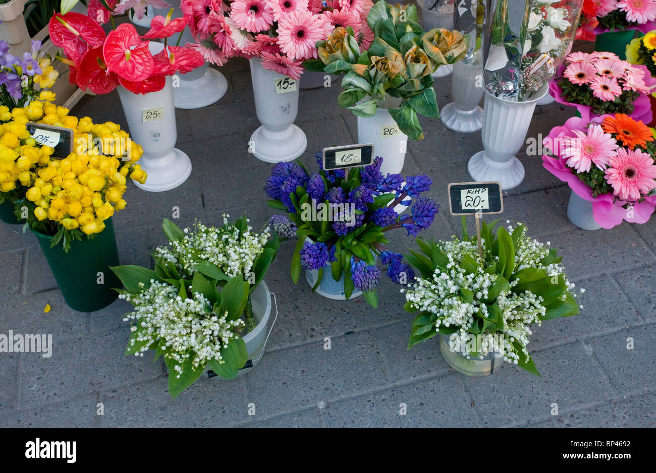 Flowers for sale in Tallinn market, including wild-collected Lily-of ...