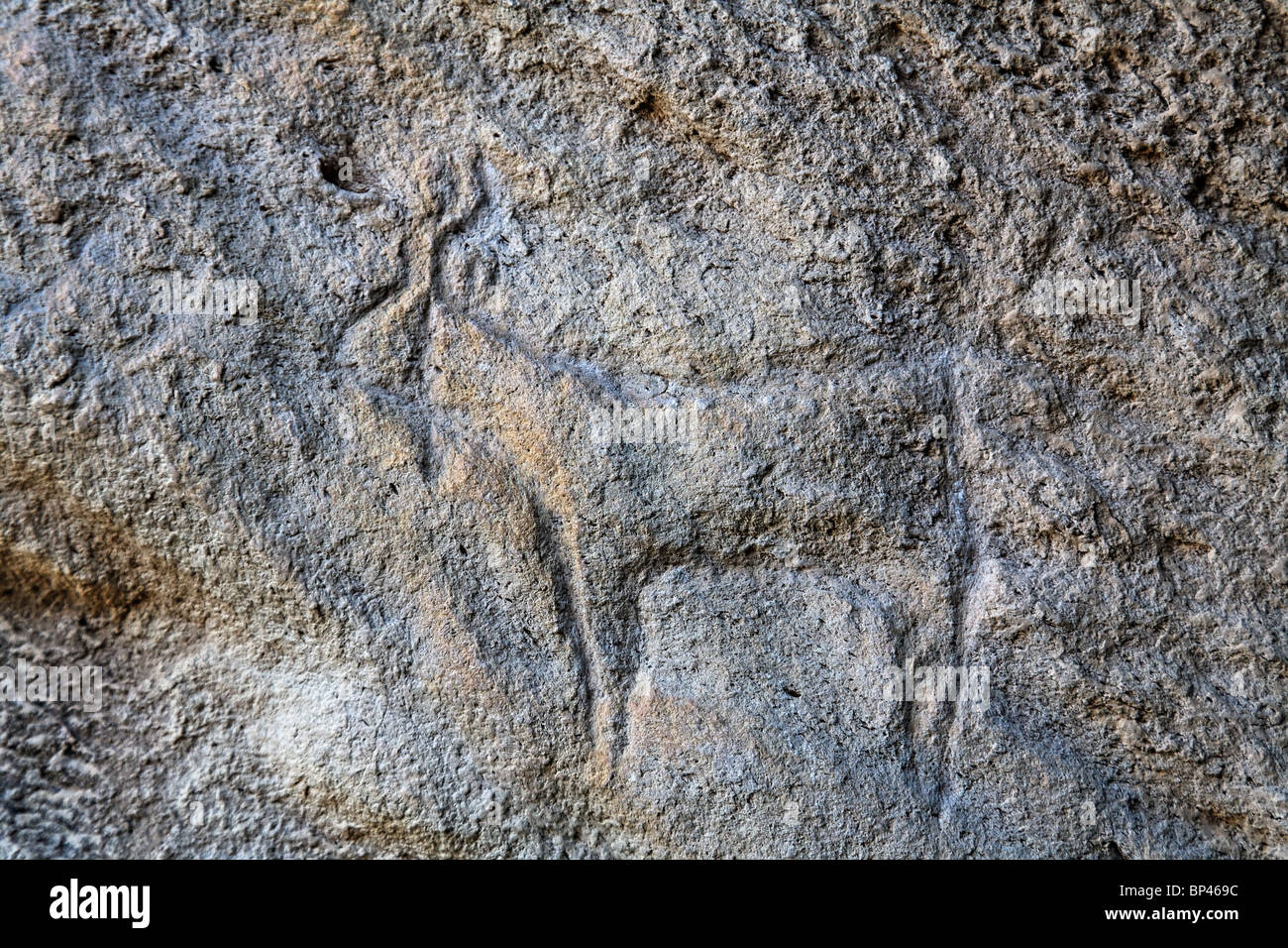 Goat petroglyph hi-res stock photography and images - Alamy