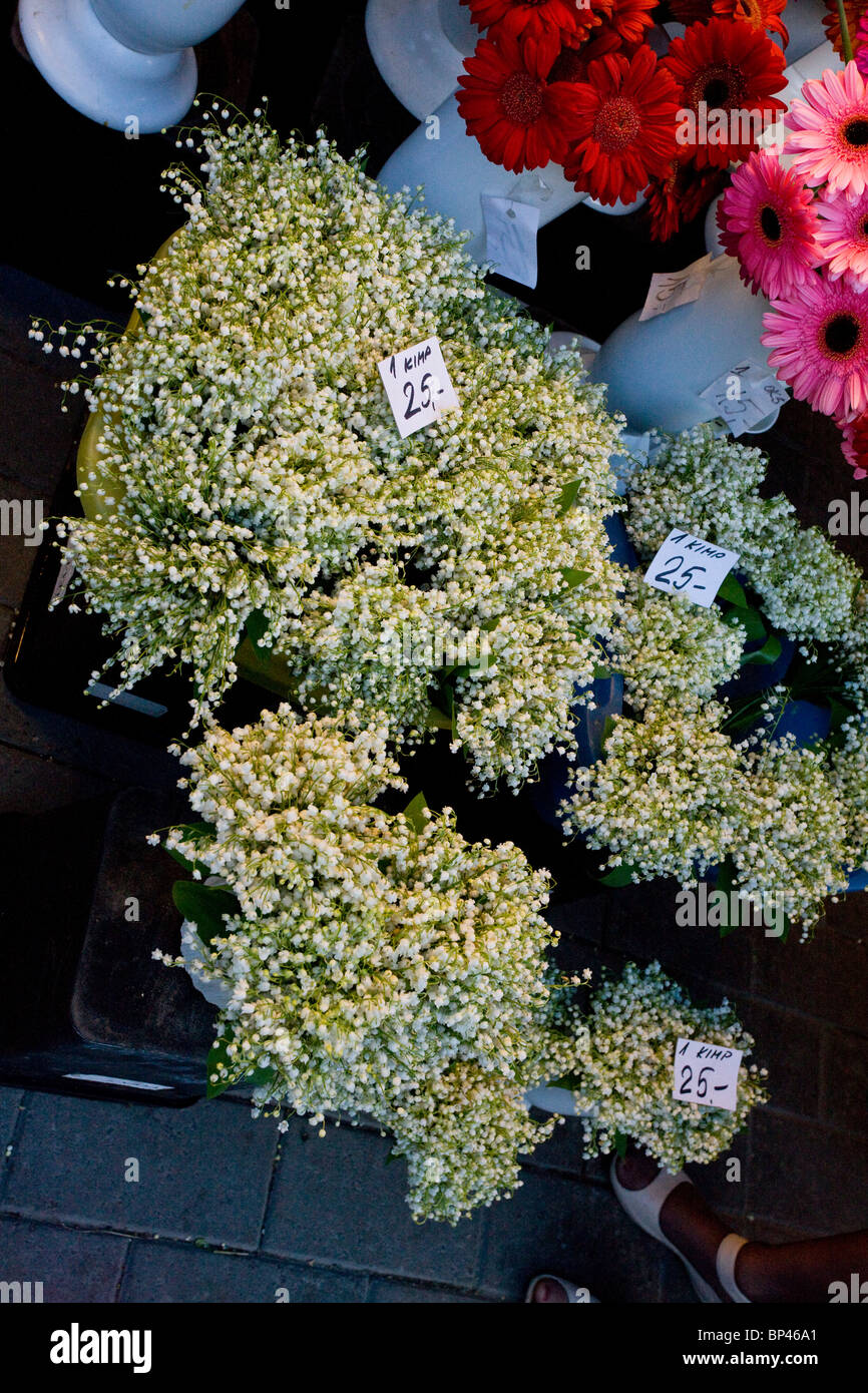Flowers for sale in Tallinn market, including wild-collected Lily-of ...