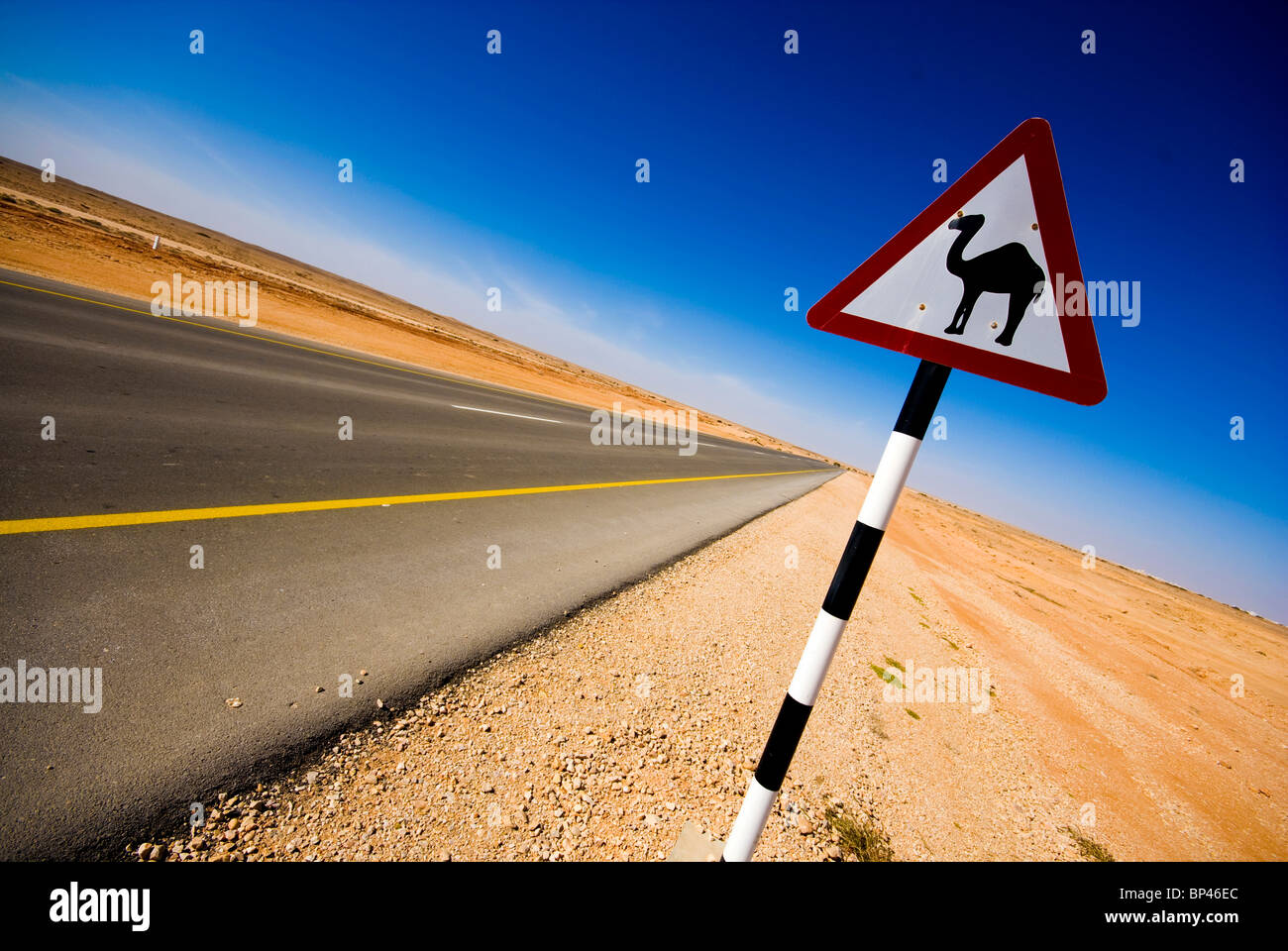 Oman, Marmul, road sign of camel crossing Stock Photo - Alamy
