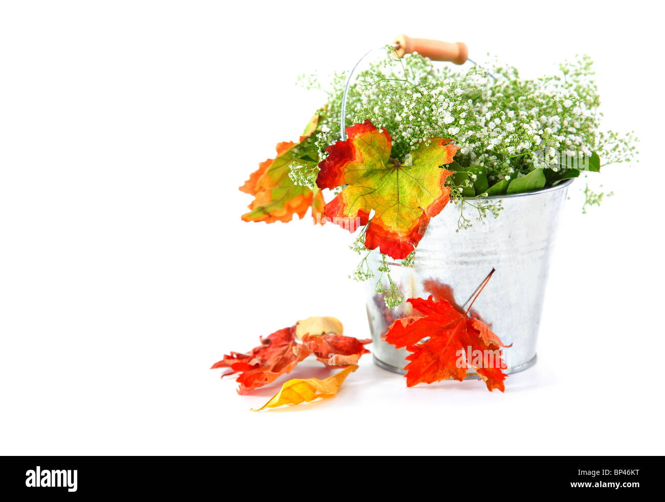 Autumn leaves small leaves fall Cut Out Stock Images & Pictures - Alamy