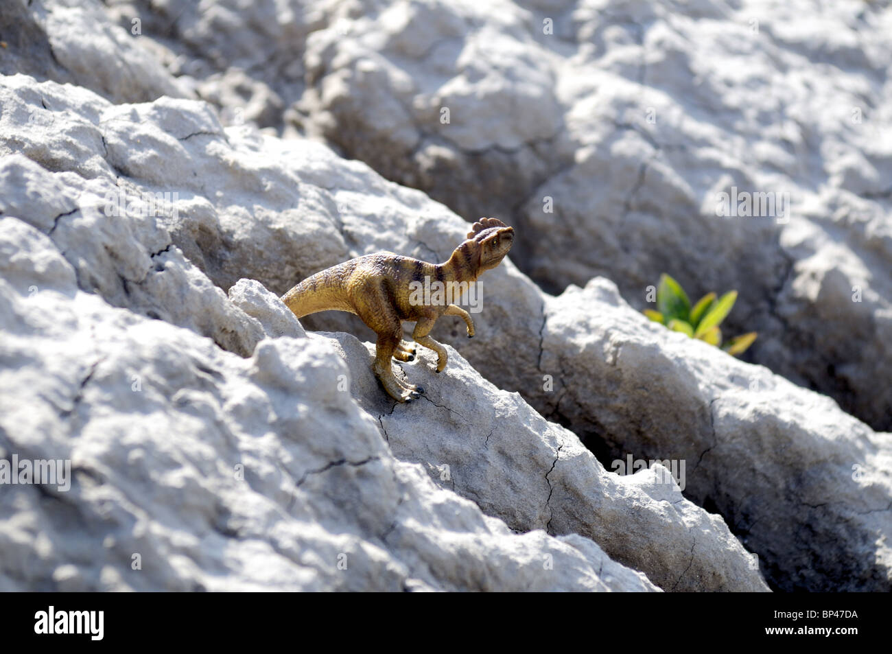 Pre historic hi-res stock photography and images - Alamy