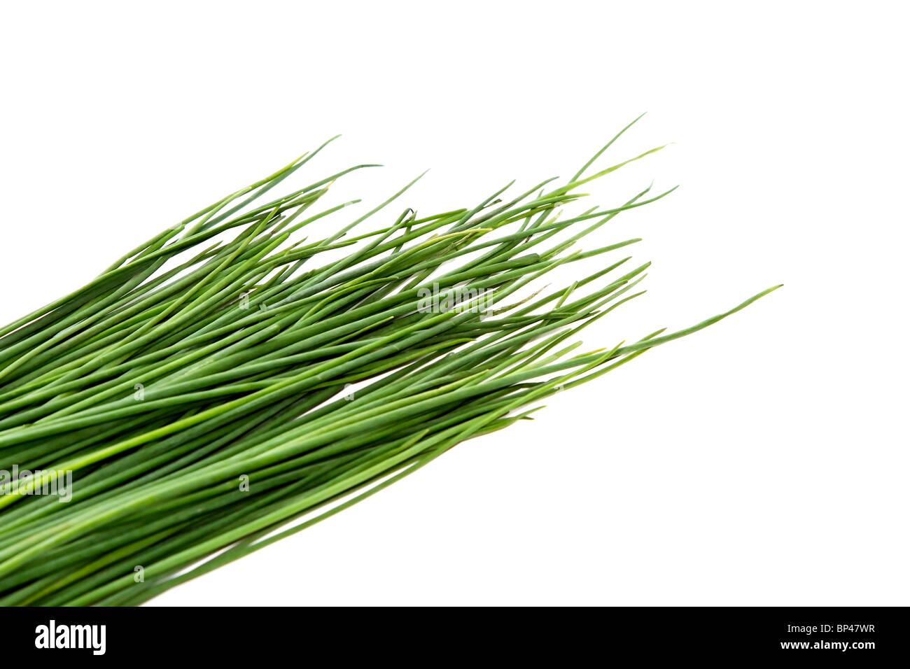 some green chive on white background Stock Photo - Alamy