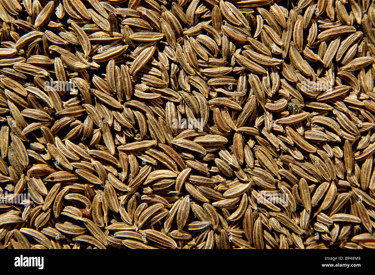 Texture of the Cumin seeds isolated Stock Photo - Alamy