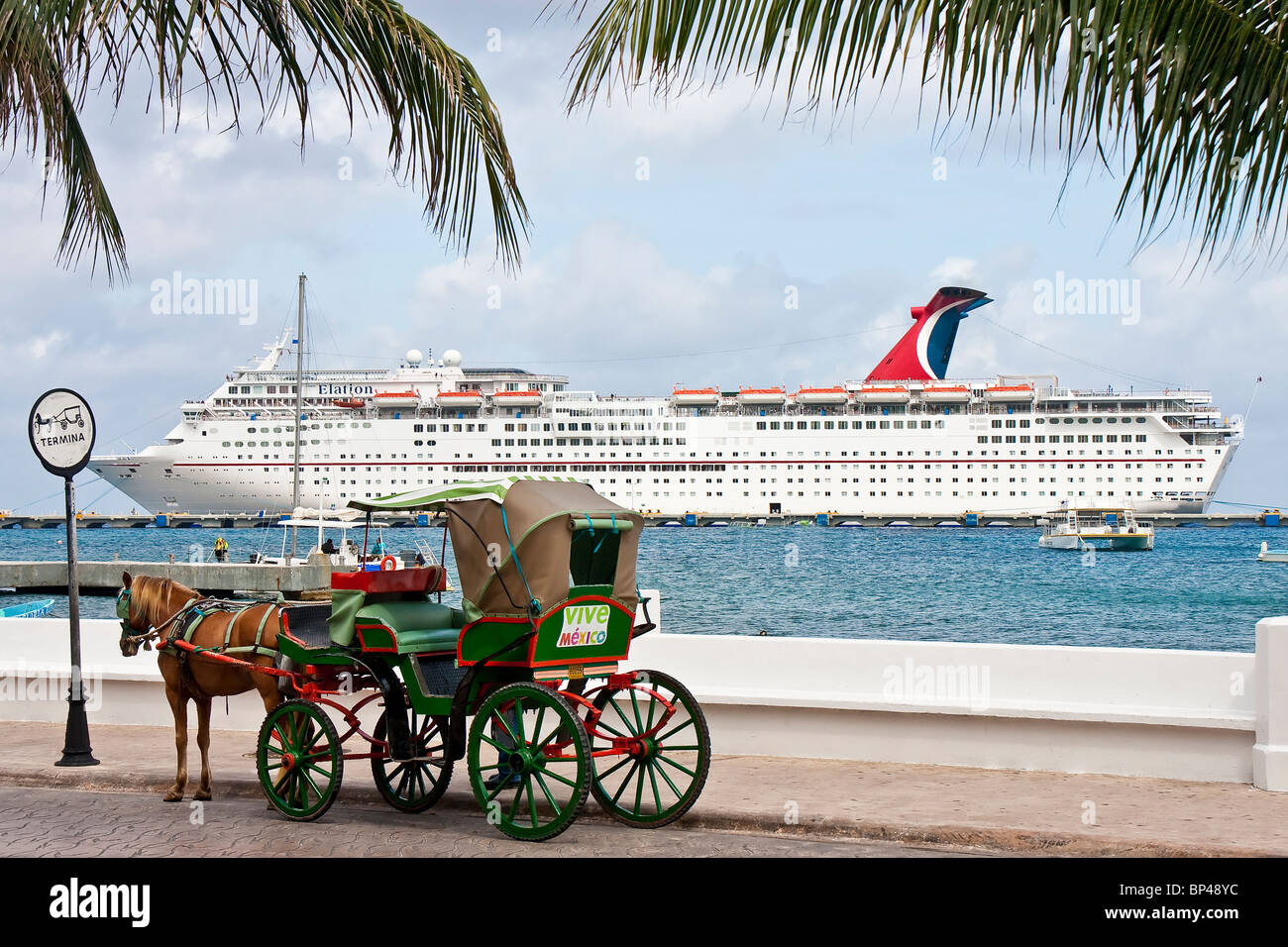 A horse and green buggy in Mexico by a luxury cruise ship in a harbor ...