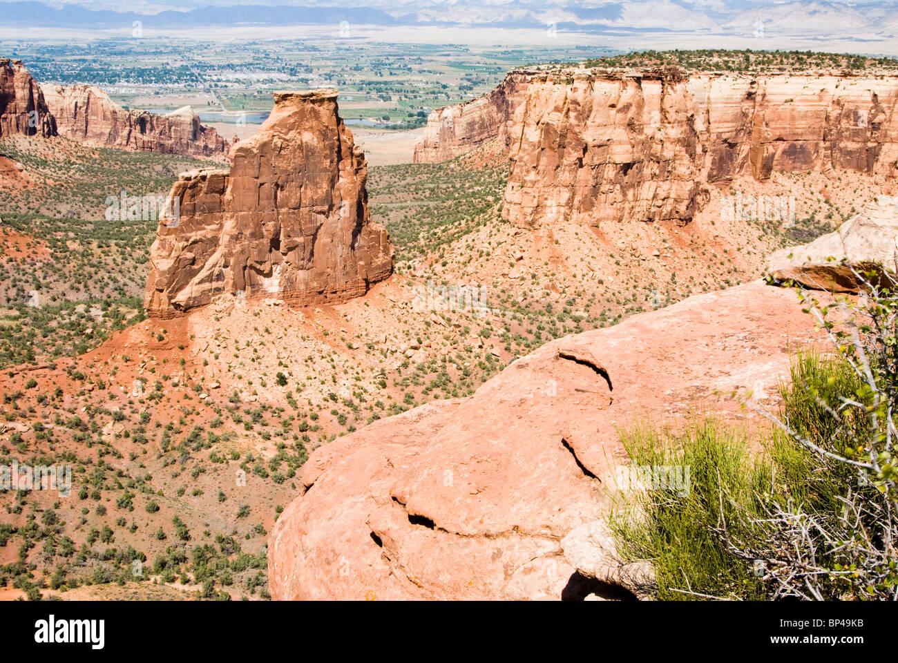 Juniper hills preserve hi-res stock photography and images - Alamy