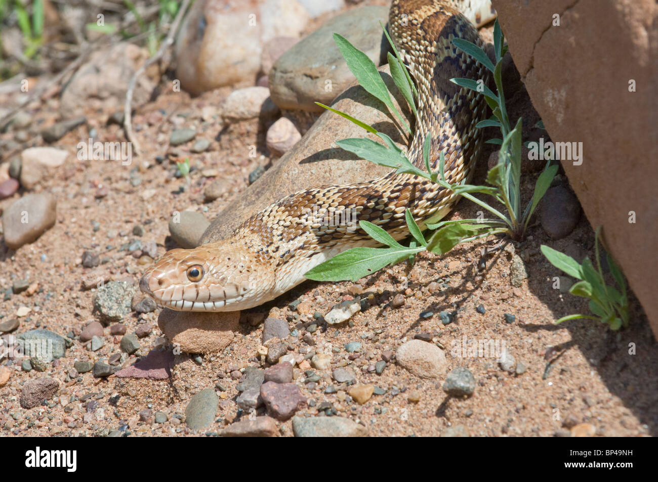 Southeastern wyoming hi-res stock photography and images - Alamy