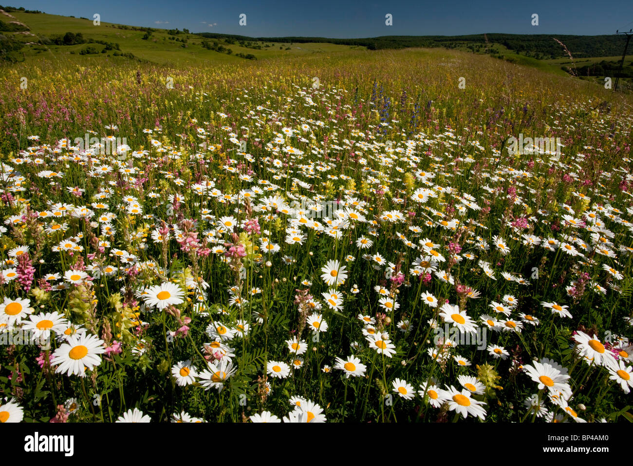 Transylvanian hi-res stock photography and images - Alamy