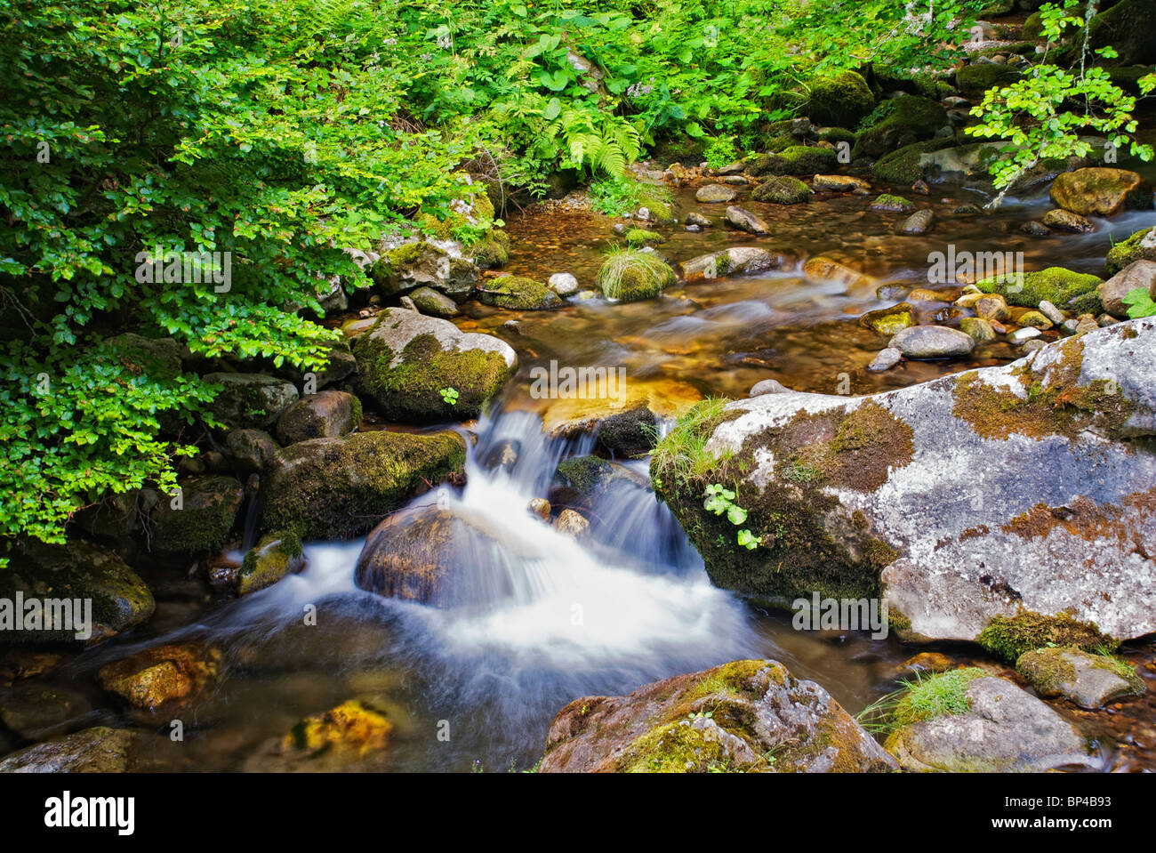 Waterfall. Dobra River. Picos de Europa National Park. Concejo de ...