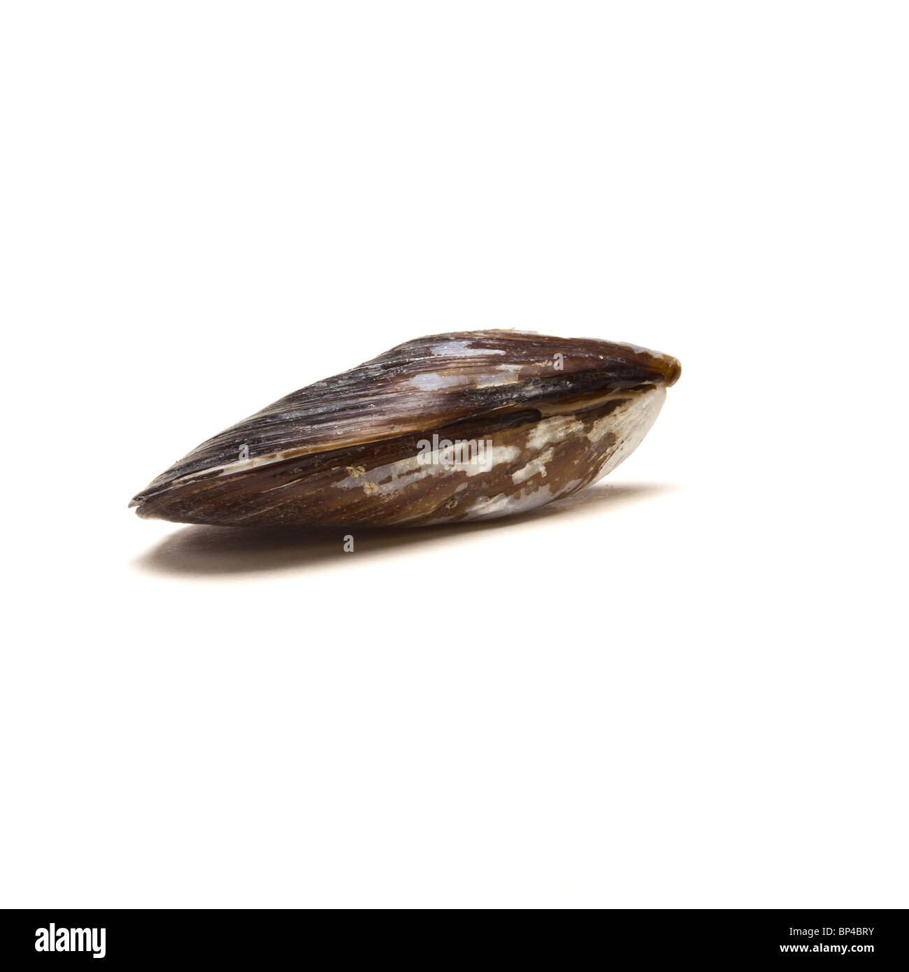 Closed perspective hi-res stock photography and images - Alamy