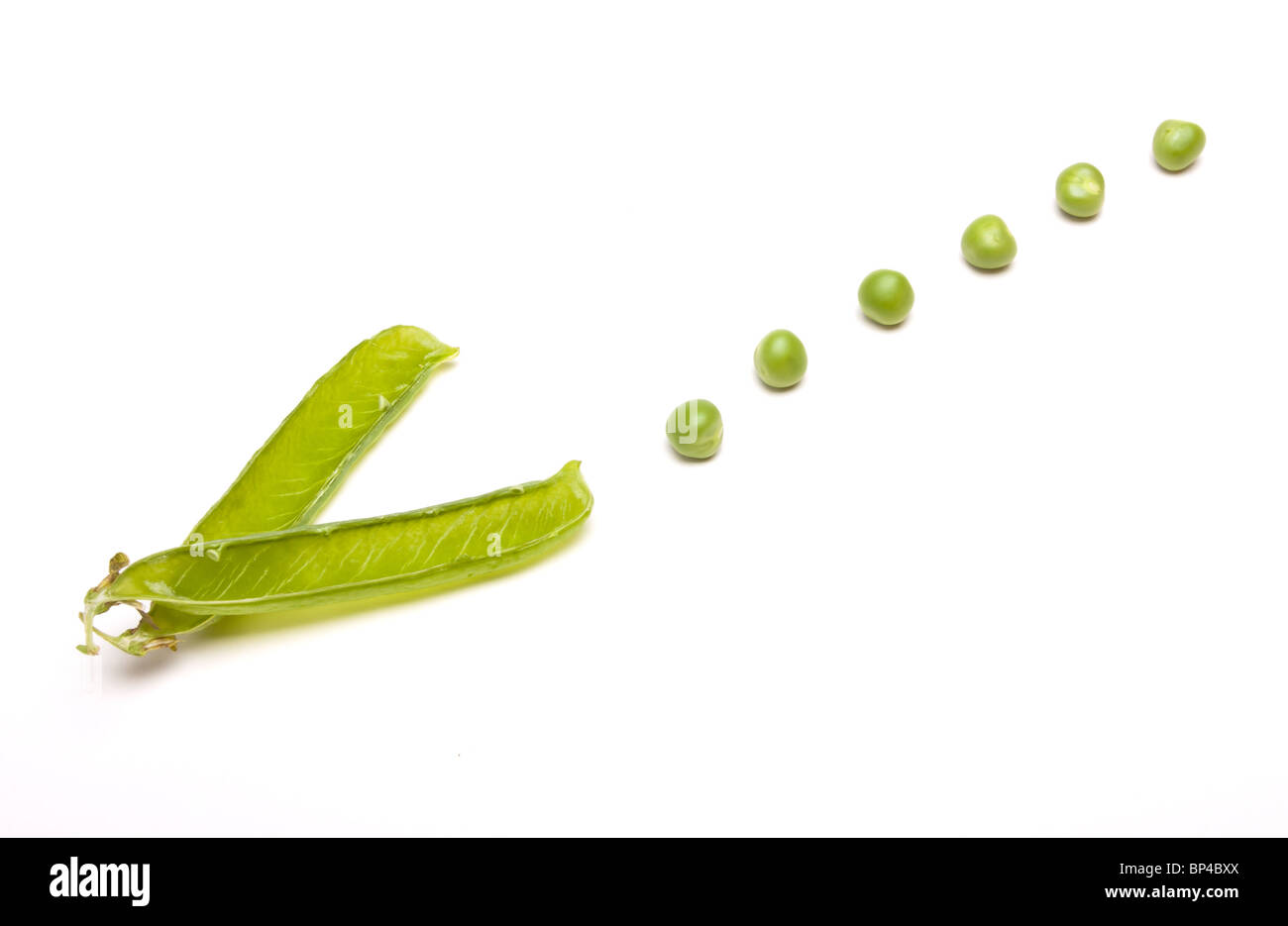 Fresh Pea Pods from low perspective isolated against white background ...