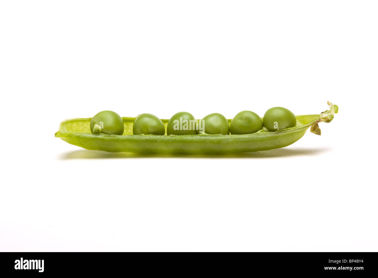 Fresh Pea Pods from low perspective isolated against white background Stock Photo - Alamy