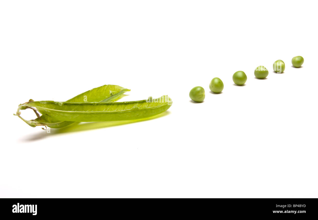 Fresh Pea Pods from low perspective isolated against white background ...