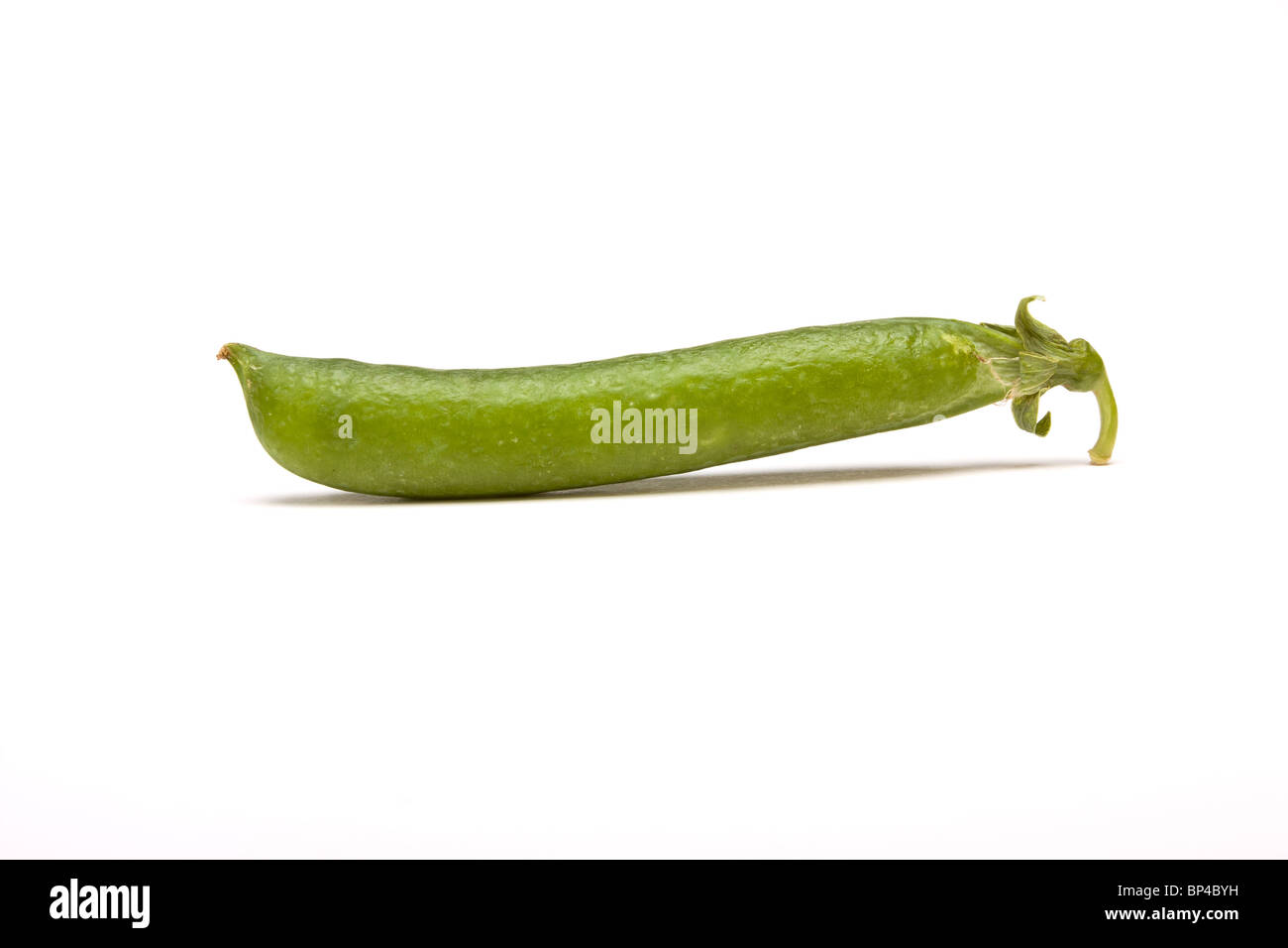 Fresh Pea Pods from low perspective isolated against white background ...