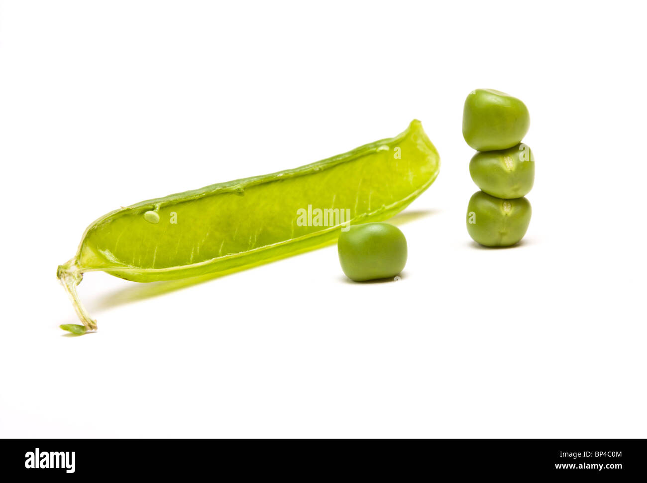 Fresh Pea Pods from low perspective isolated against white background ...