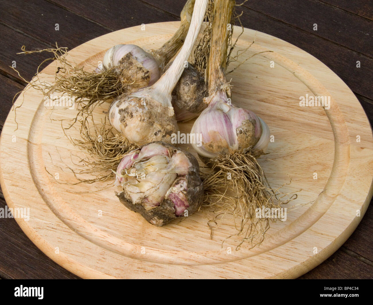 Garlic roots hi-res stock photography and images - Alamy