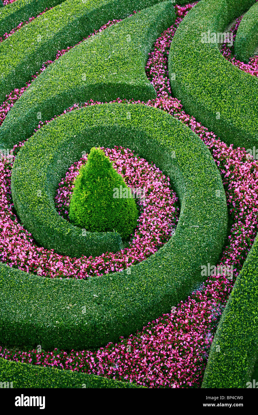 Fancy tree shape hi-res stock photography and images - Alamy