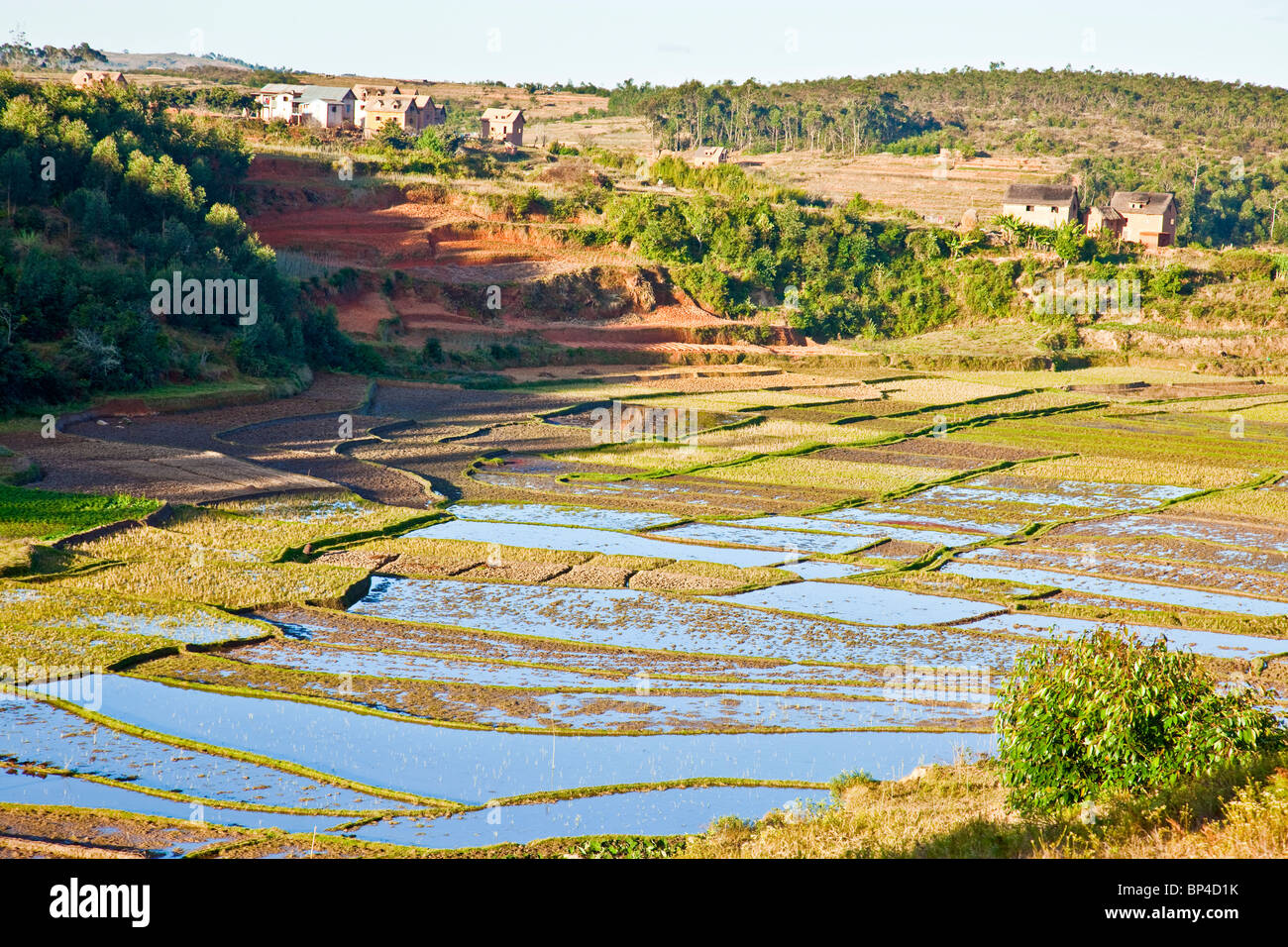 Rice terraces madagascar hi-res stock photography and images - Alamy