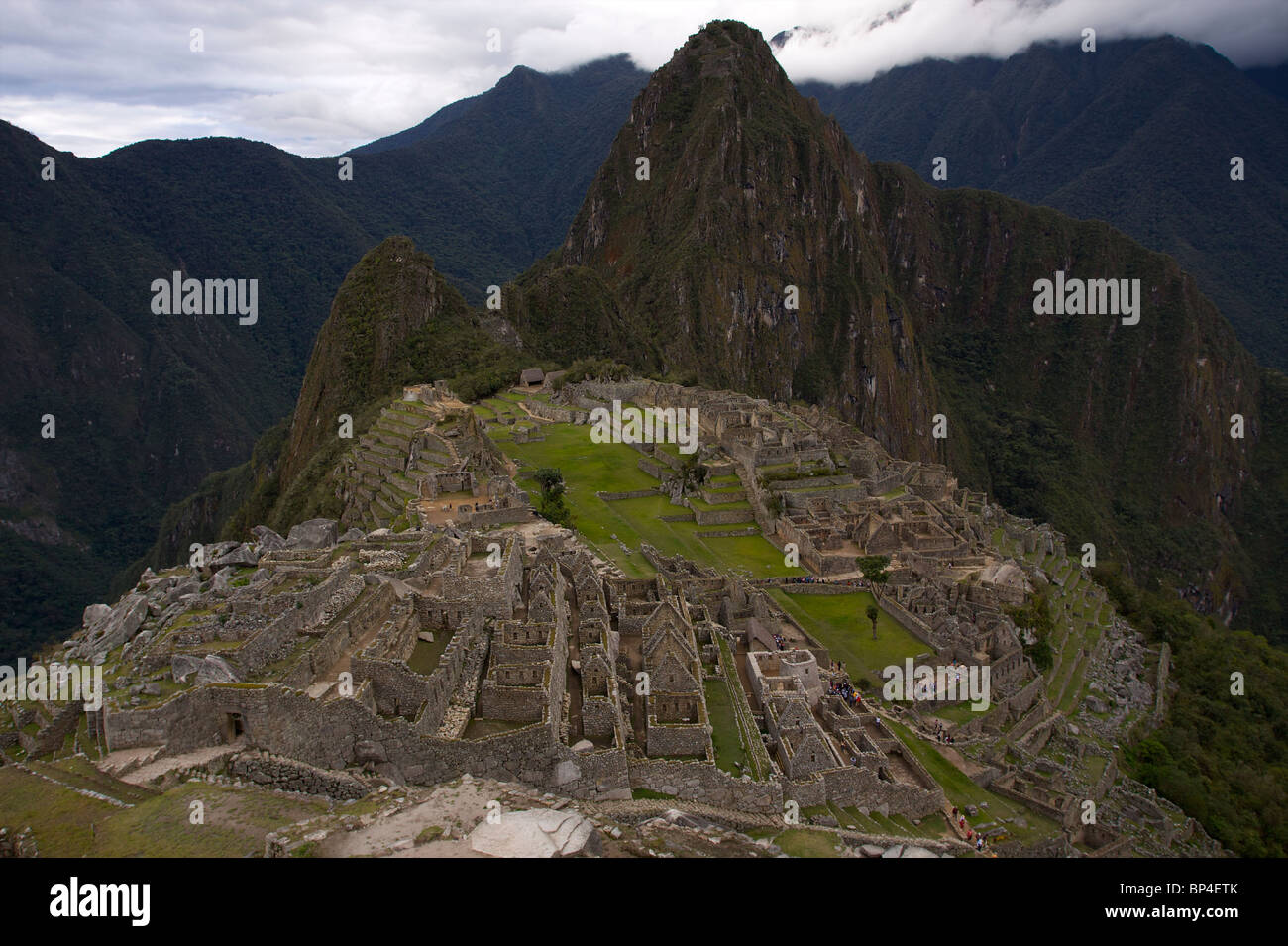 Inka tea hi-res stock photography and images - Alamy