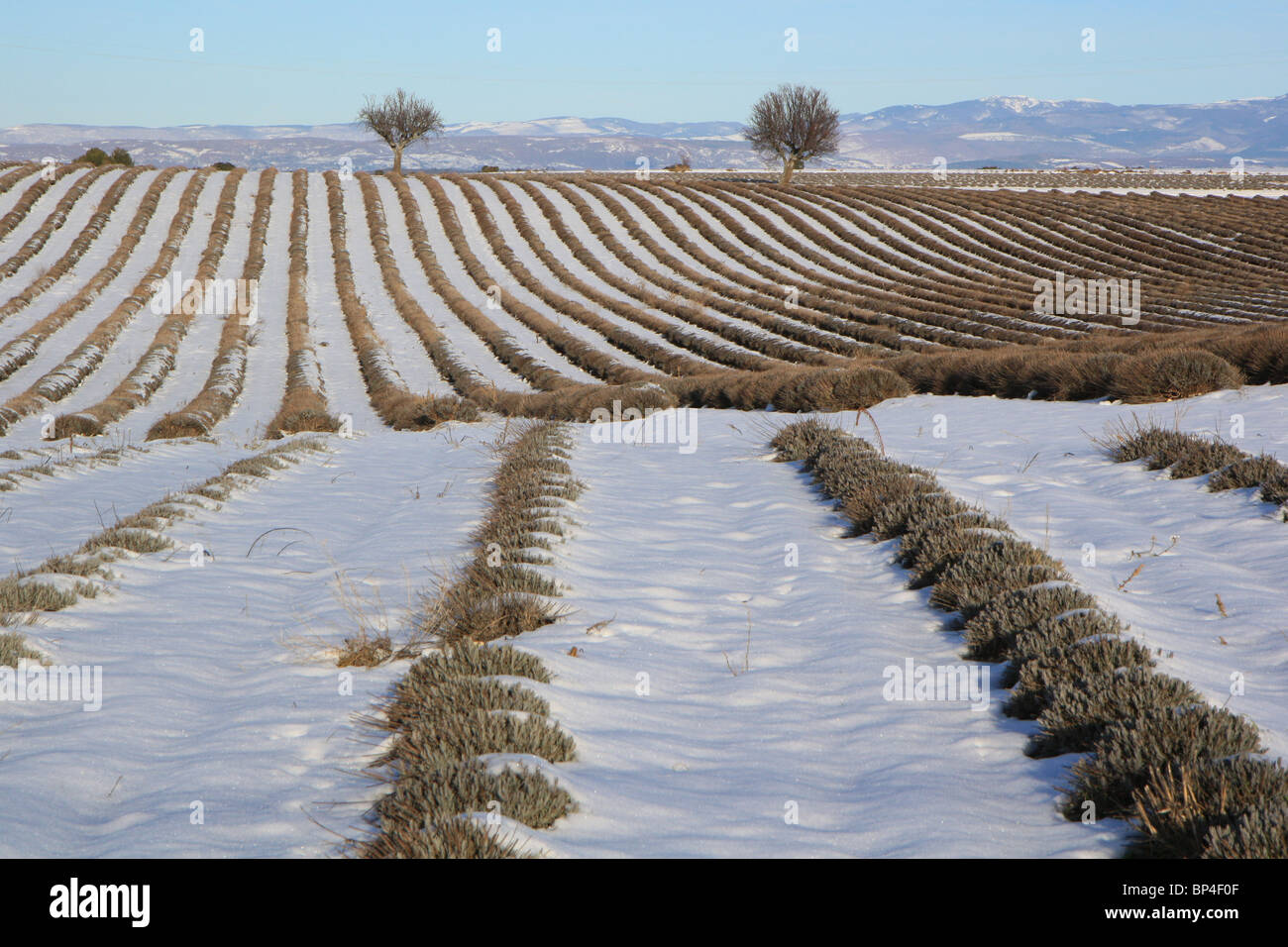 Winter in provence france hi-res stock photography and images - Alamy