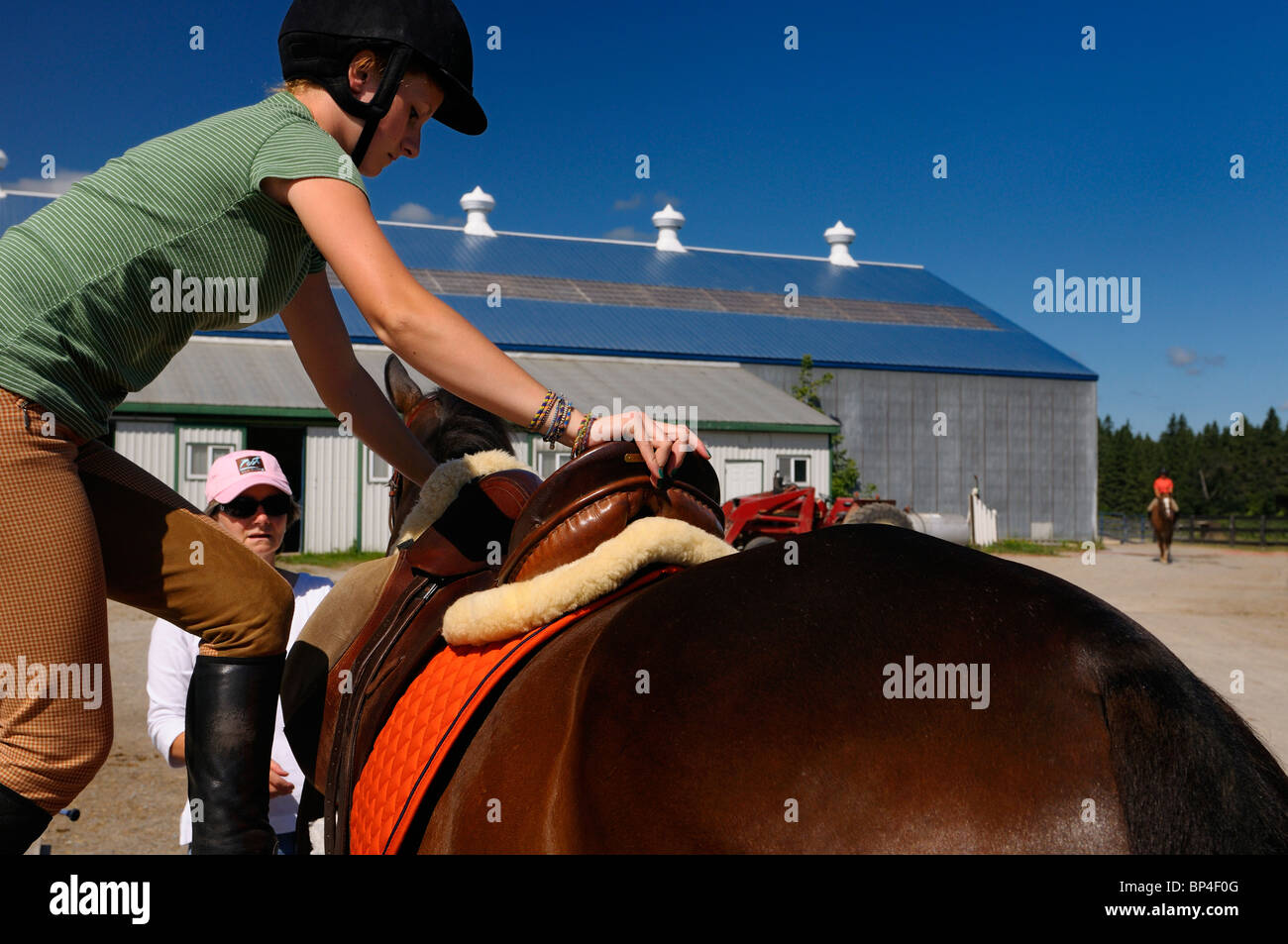 Trainer stables stable hi-res stock photography and images - Alamy
