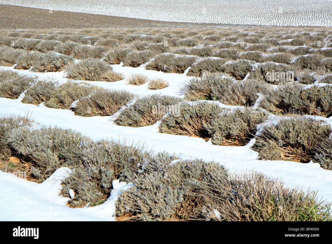 Snow in provence hi-res stock photography and images - Alamy