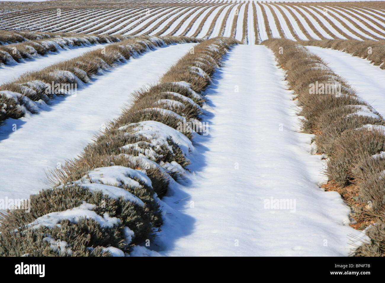 Winter provence france hi-res stock photography and images - Alamy
