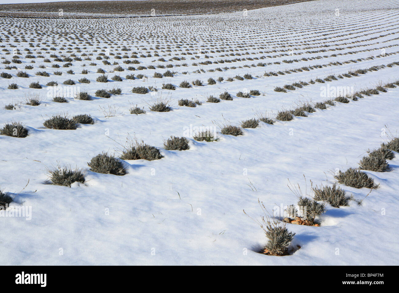 Provence winter hi-res stock photography and images - Alamy