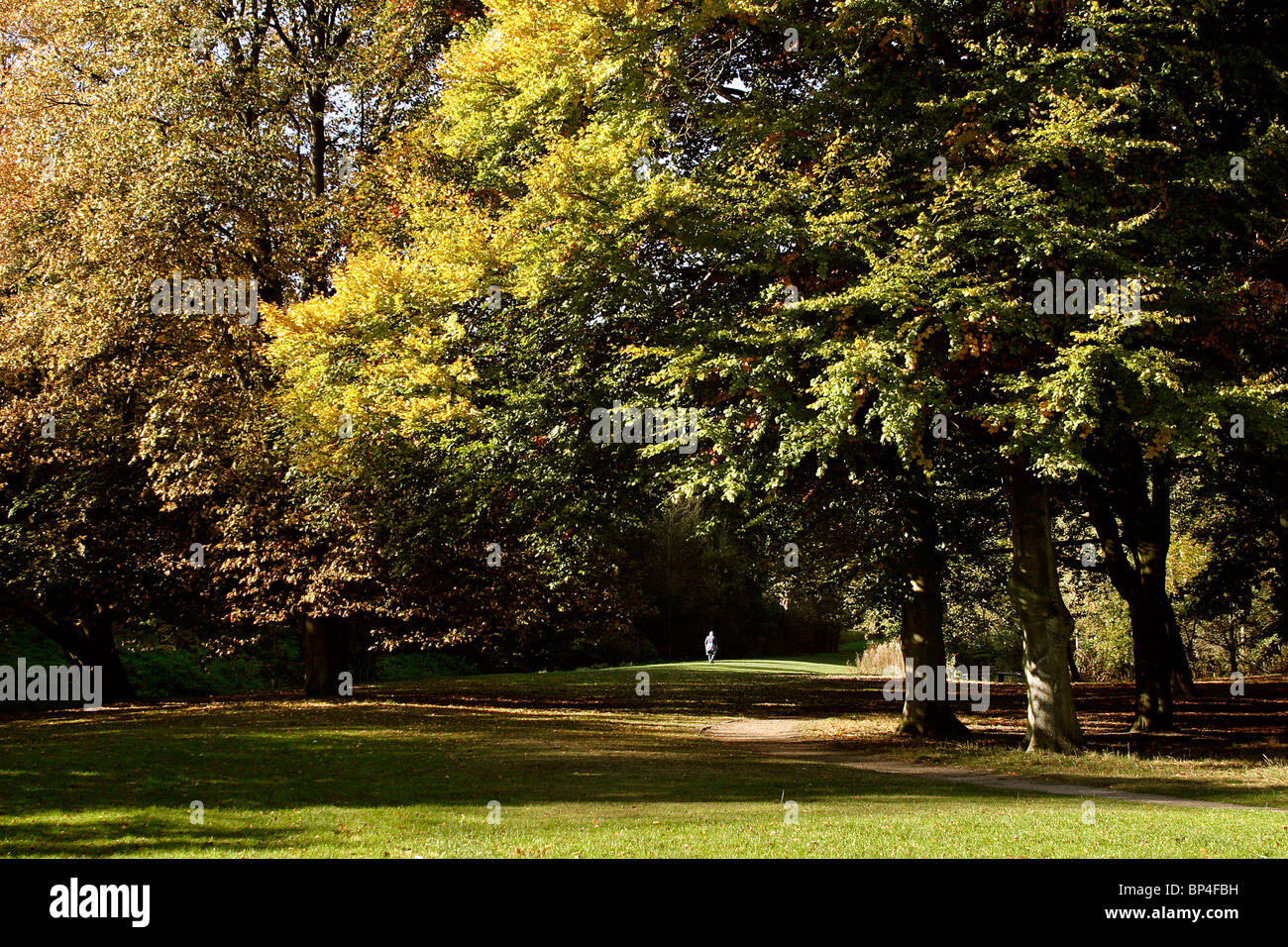 UK, England, Cheshire, Stockport, Bramhall, Bramall Hall, Bramhall Park ...