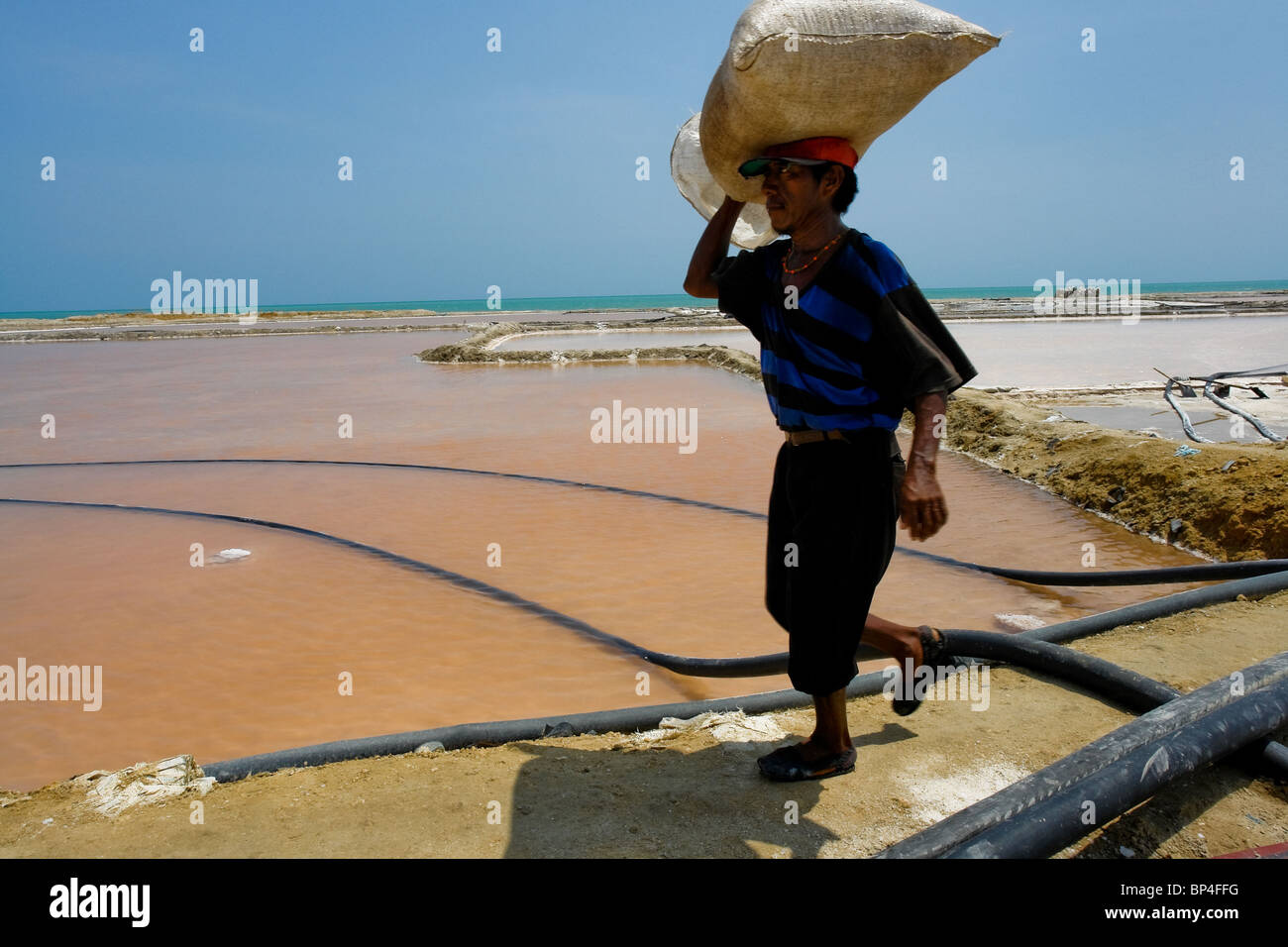 Indian salt mines hi-res stock photography and images - Alamy