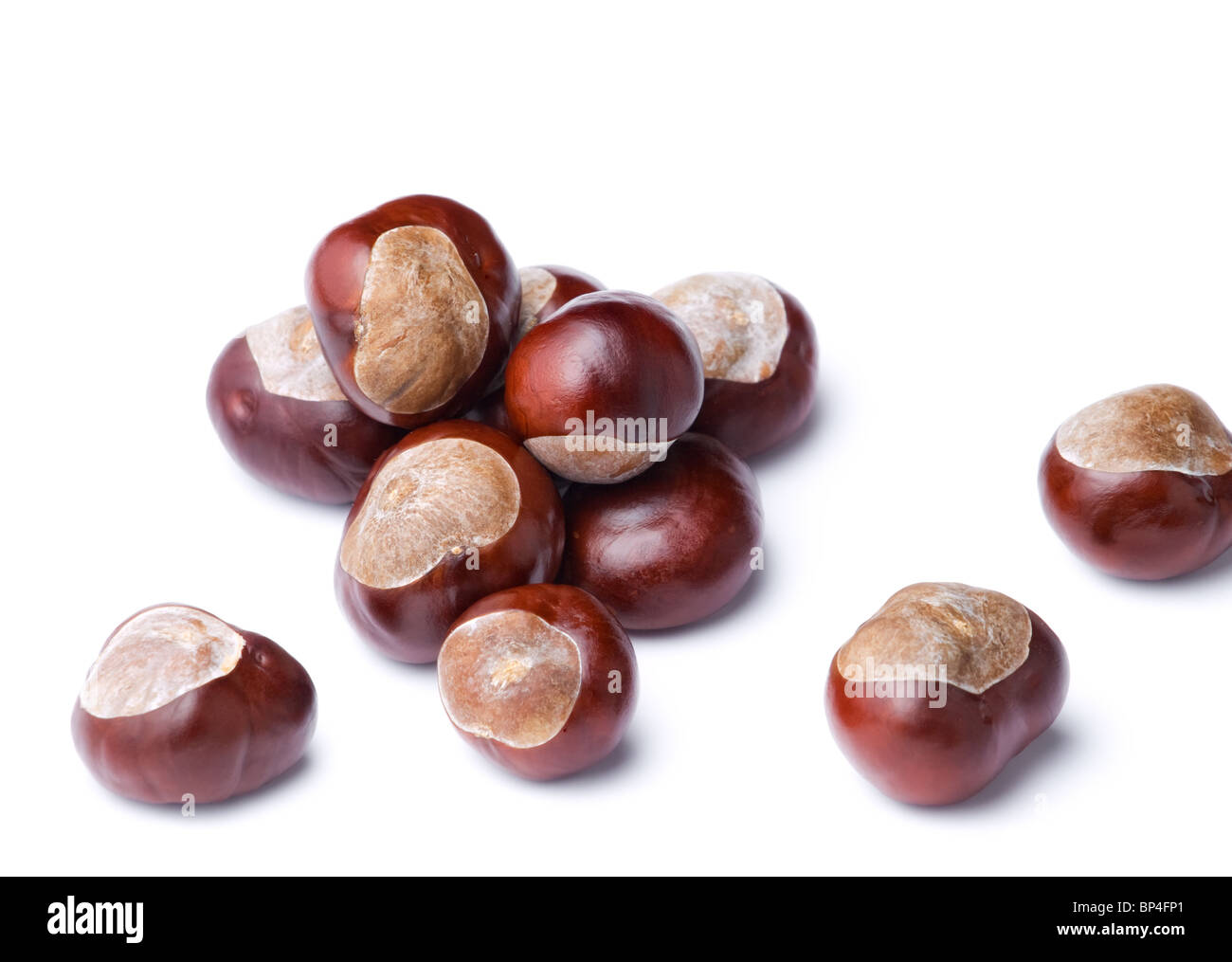 Wild chestnuts isolated on a white background Stock Photo - Alamy