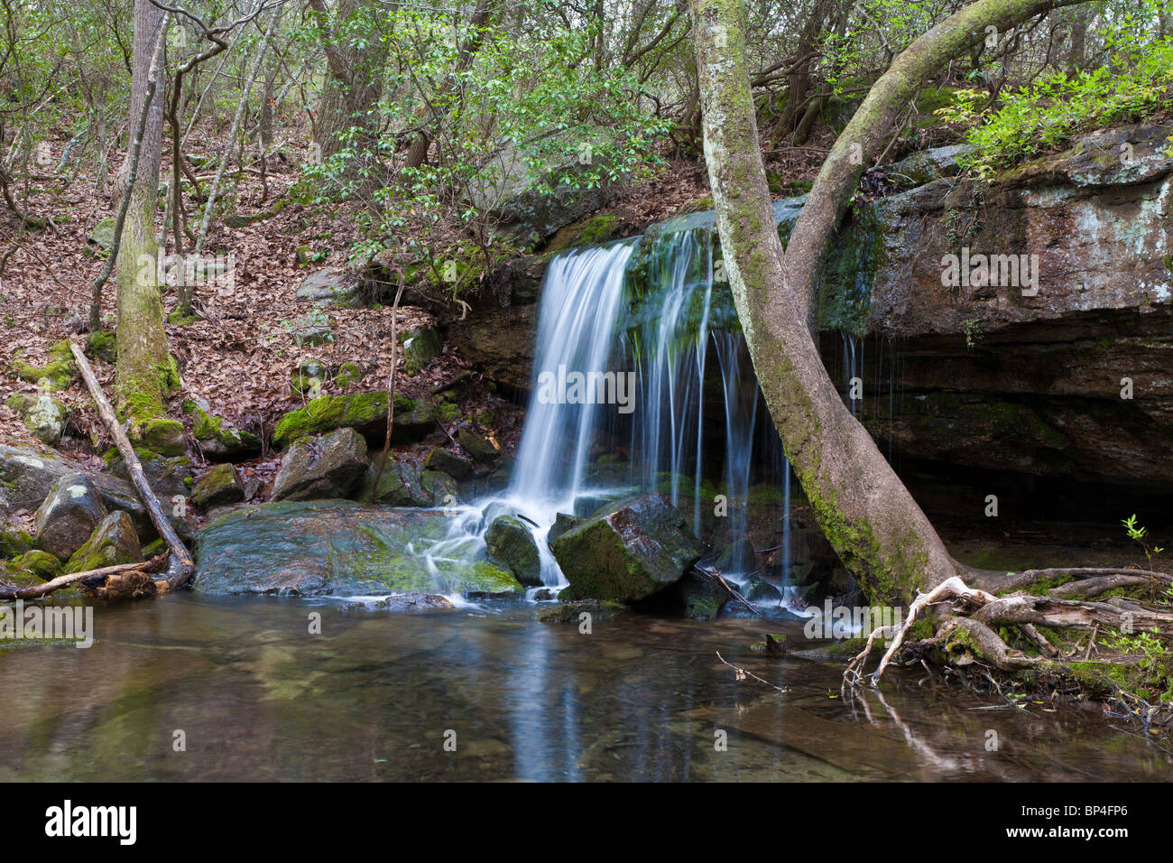 Fort Payne, AL - Apr 2009 - Waterfall in DeSoto State Park at Fort ...