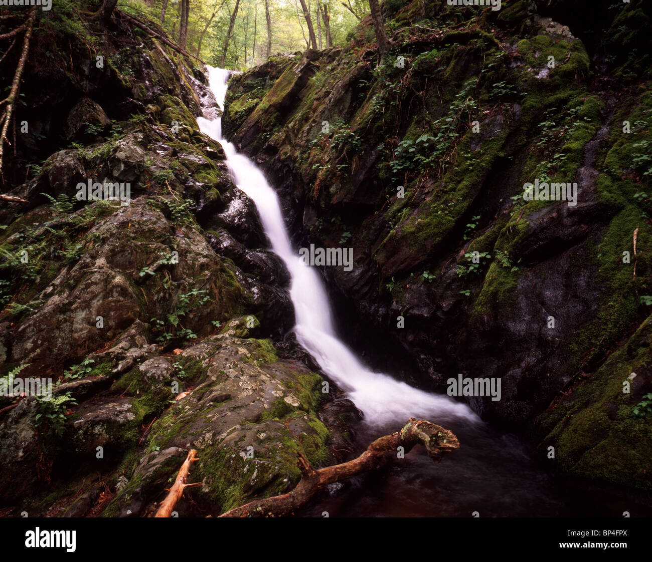 Narrow Waterfall through Forest, VA Stock Photo - Alamy