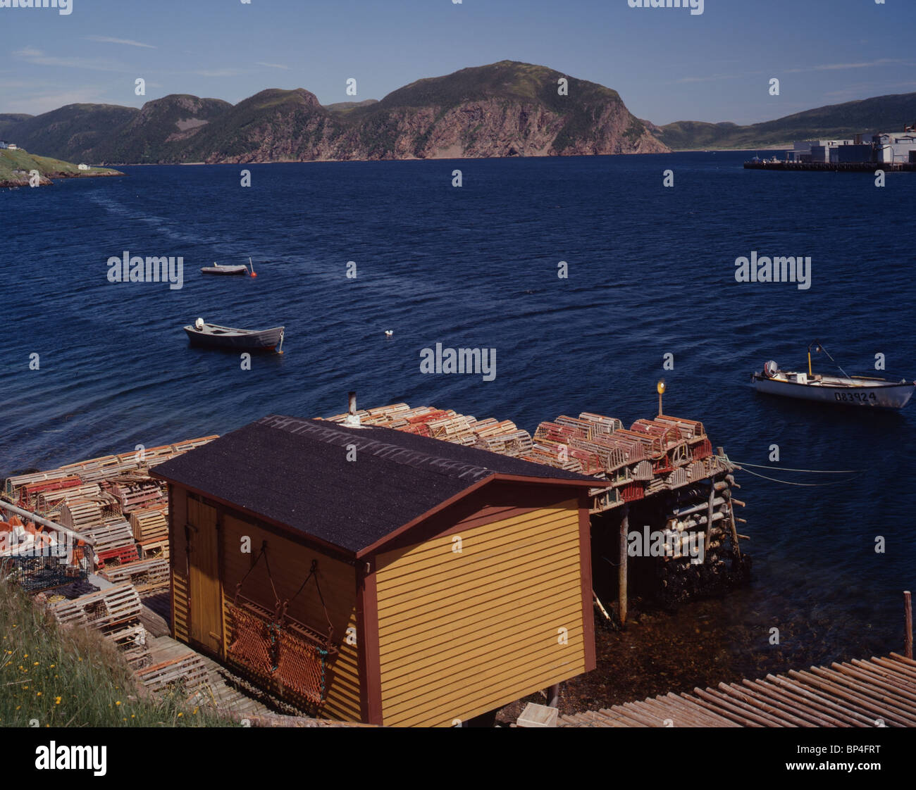 Lobster traps in newfoundland hi-res stock photography and images - Alamy