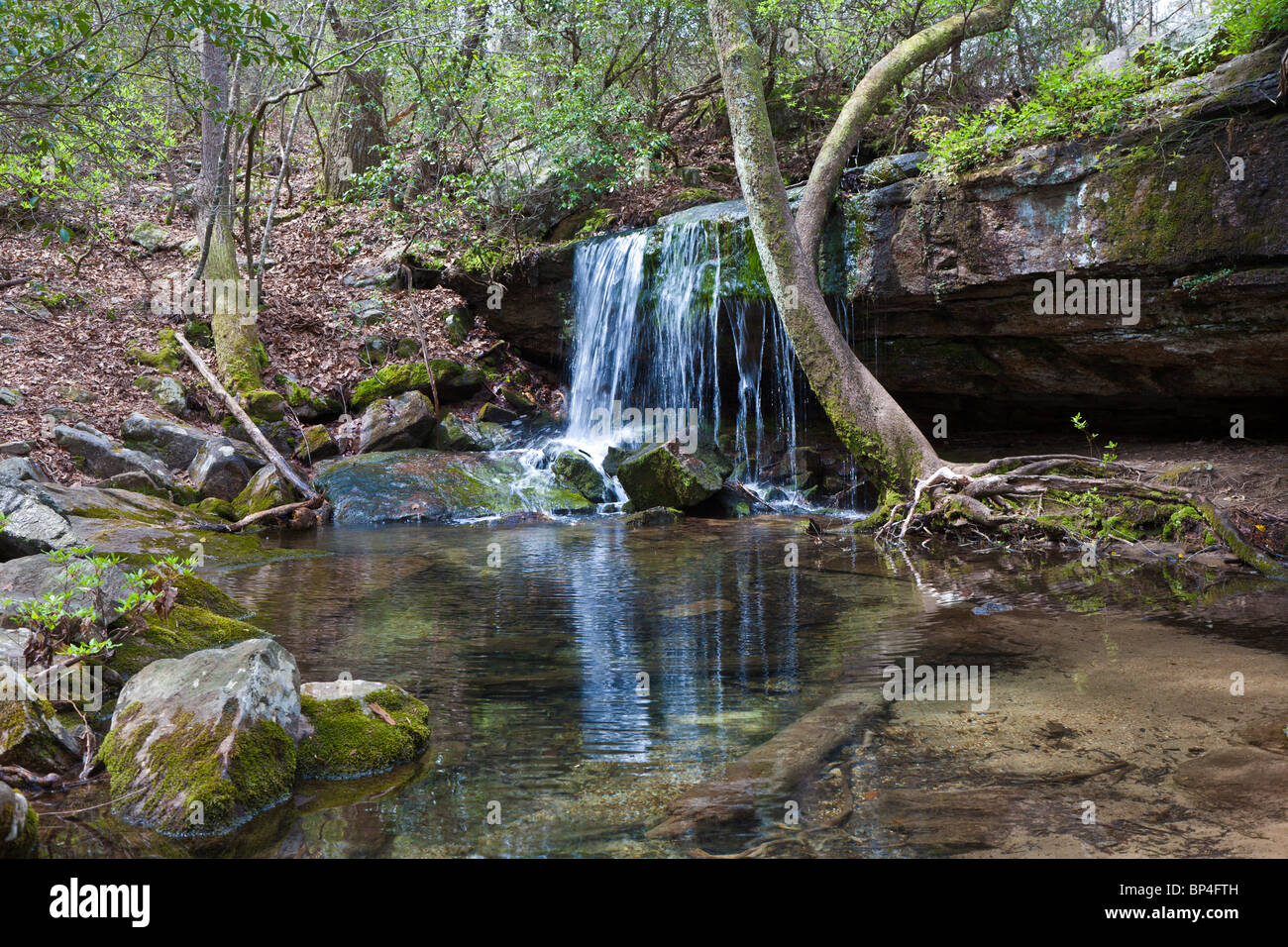 Fort Payne, AL - Apr 2009 - Waterfall in DeSoto State Park at Fort ...