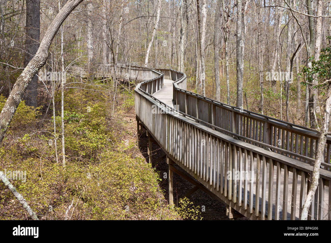 Fort Payne, AL - Apr 2009 - Wooden walkway of walking trail winds ...