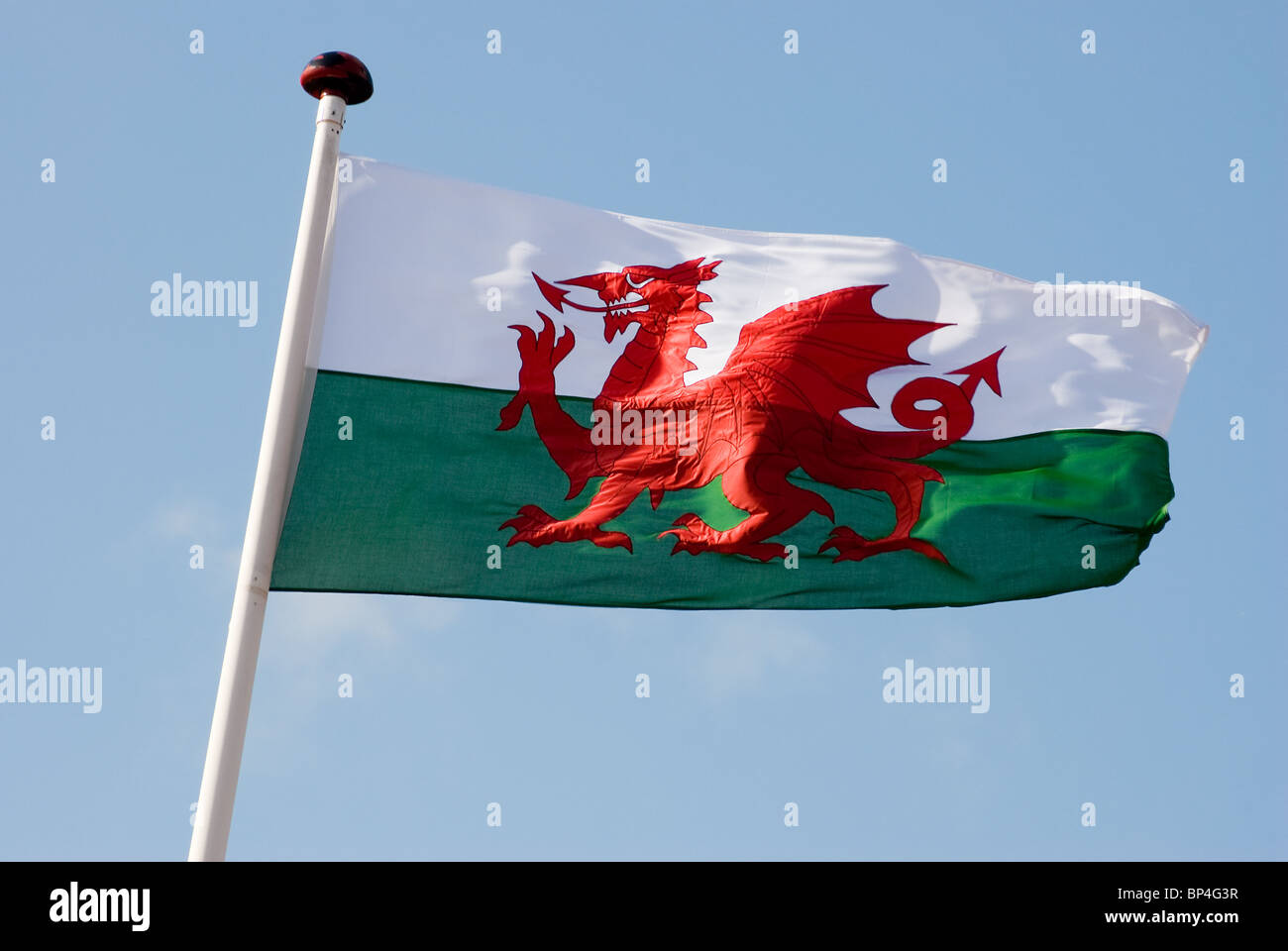 The welsh flag wales hi-res stock photography and images - Alamy