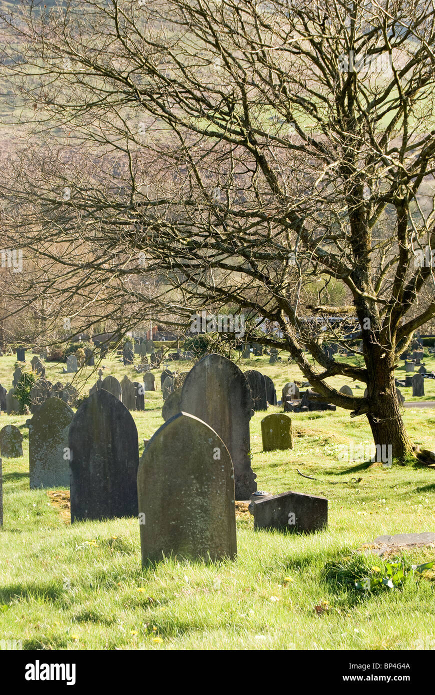 Gravestones in a cemetery hi-res stock photography and images - Alamy
