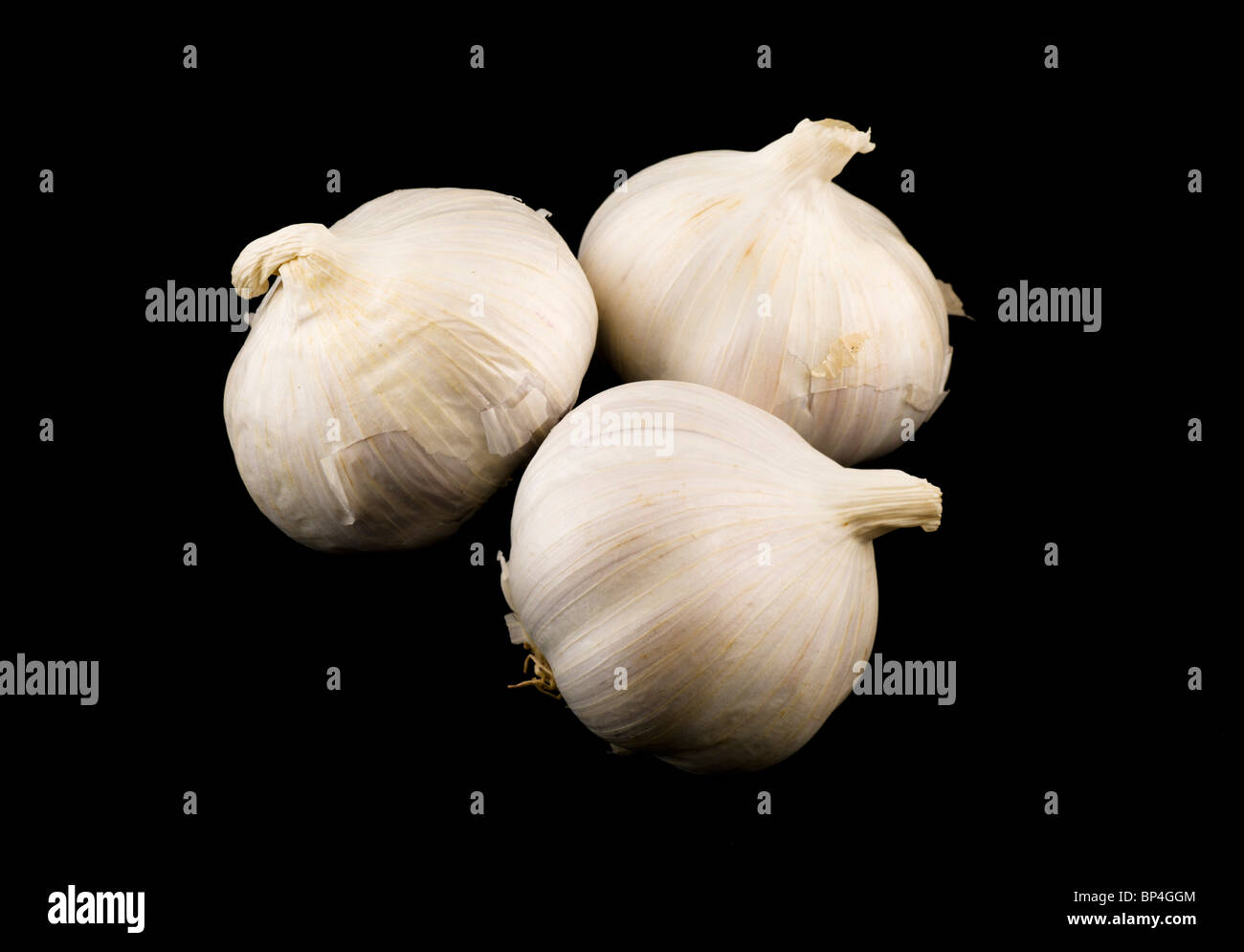 Bulbs of Garlic (Allium sativum Stock Photo - Alamy