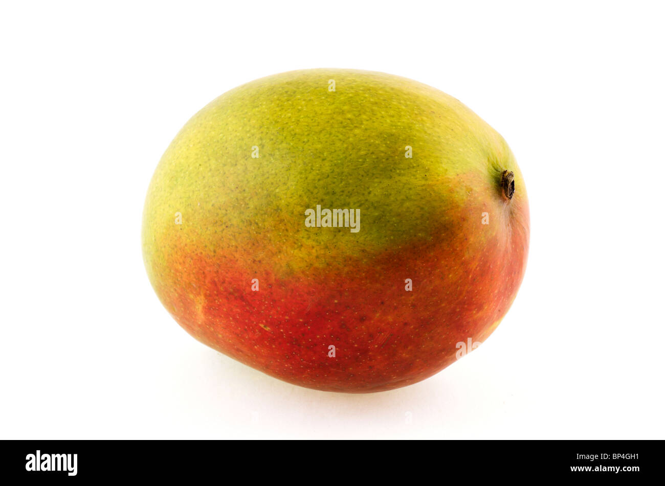 Mango (Mangifera indica Stock Photo - Alamy