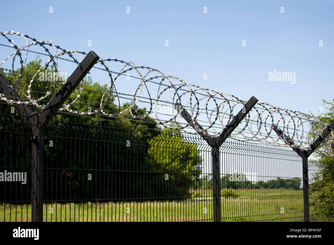 Bearded wire hi-res stock photography and images - Alamy