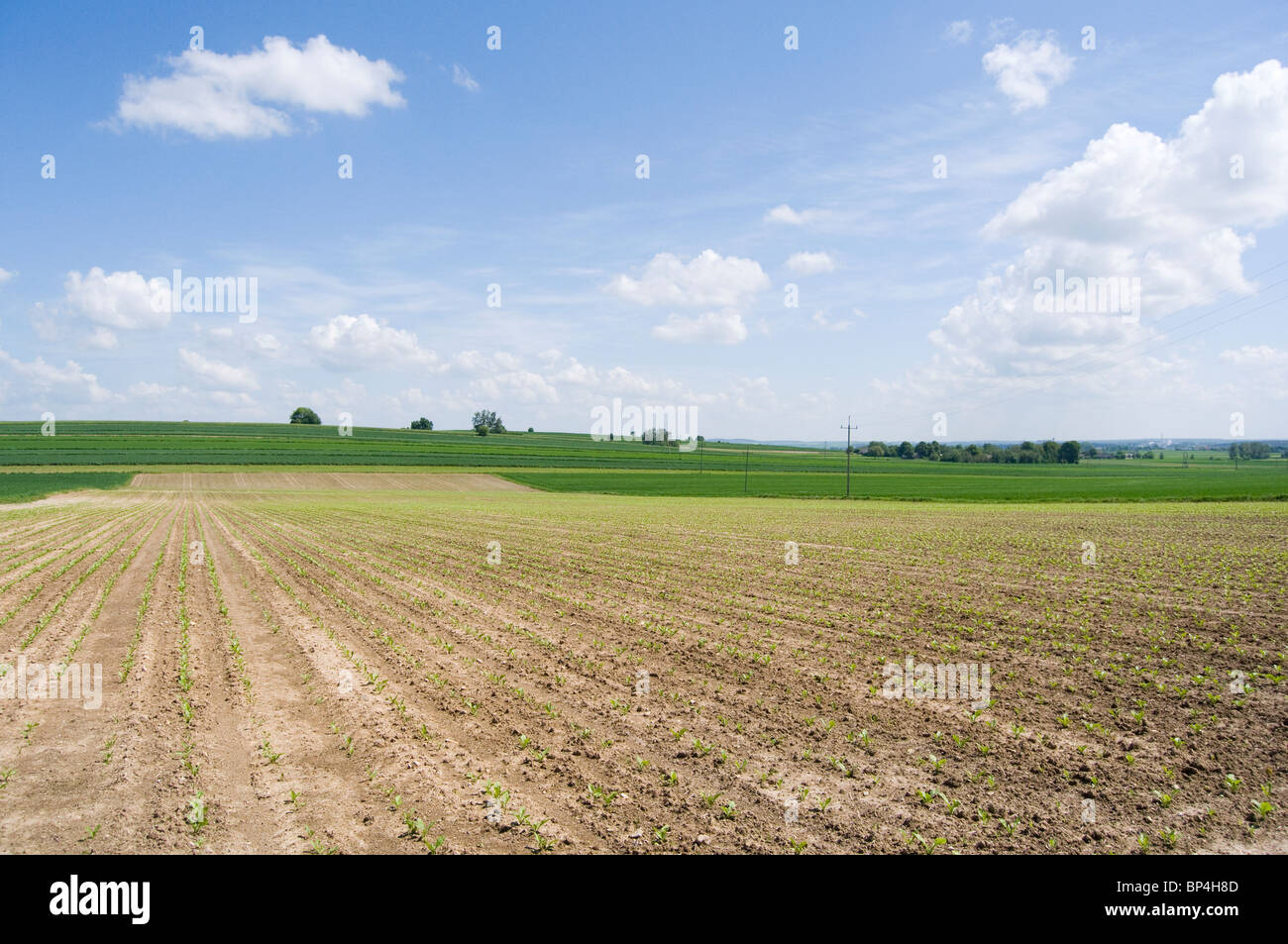 Poland fields hi-res stock photography and images - Alamy