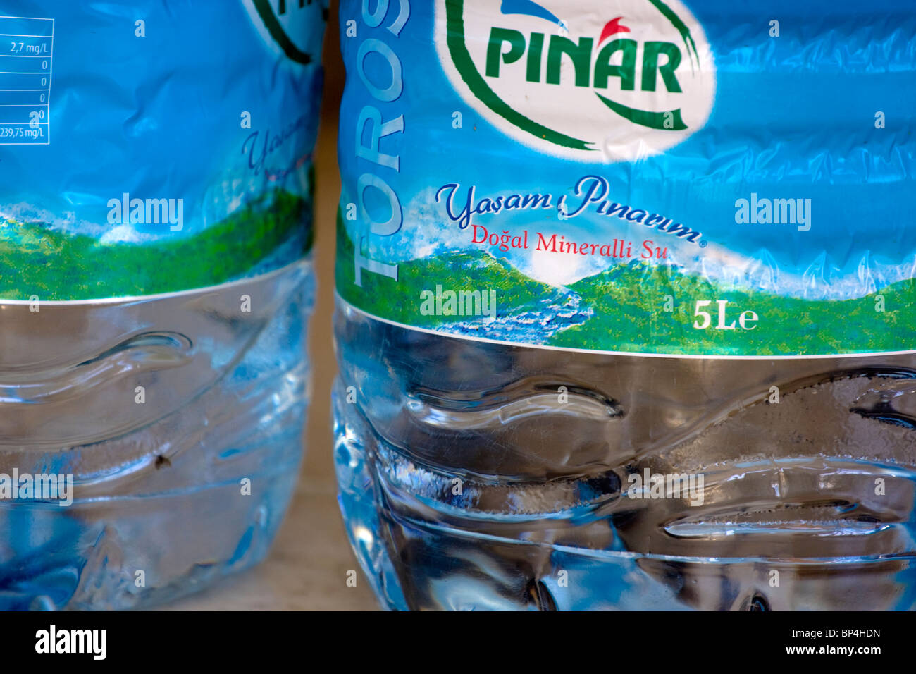 Water Turkey Stock Photos & Water Turkey Stock Images - Alamy