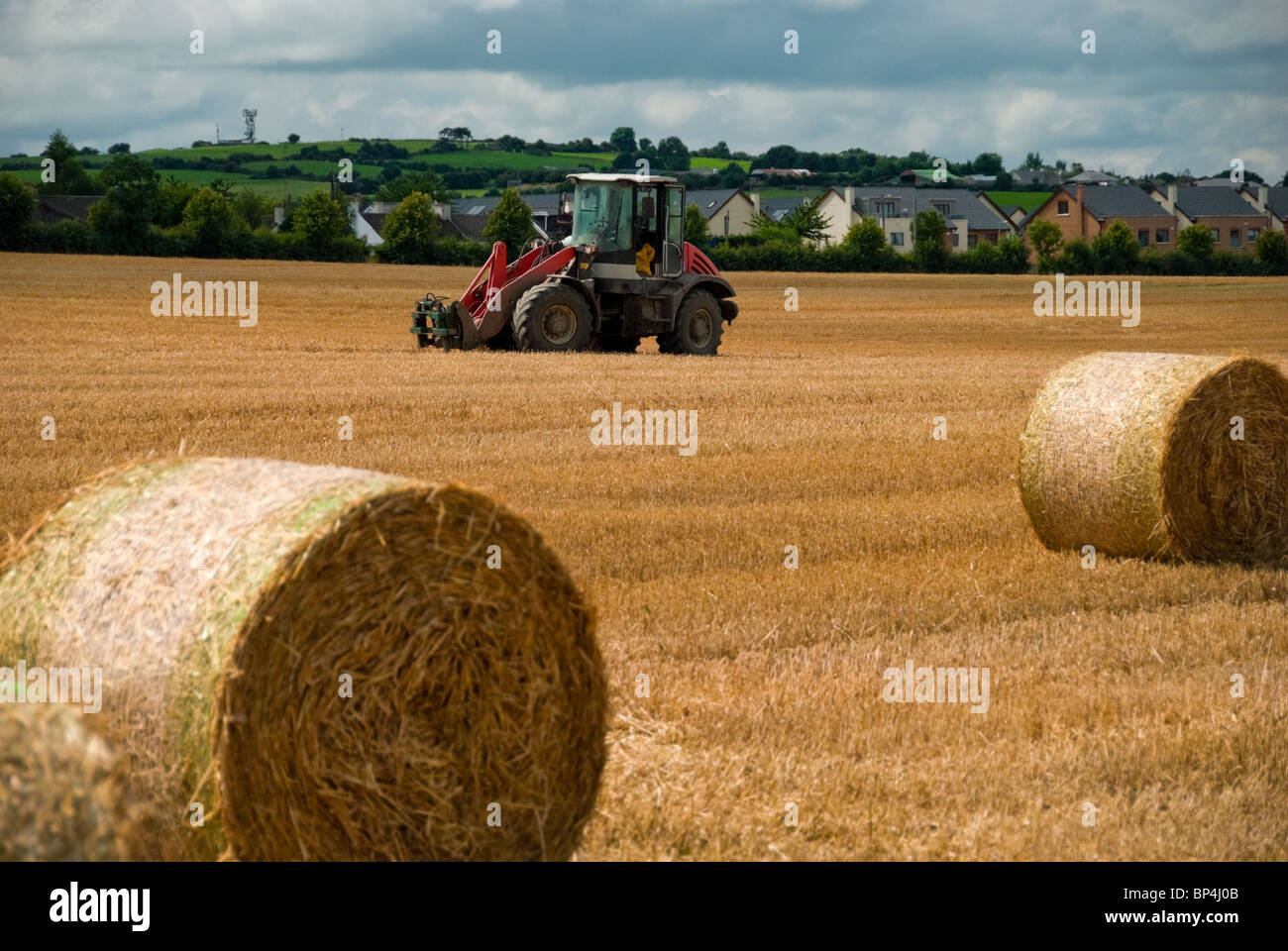 A tractor amongst bales of hay in a corn field ready for collection ...