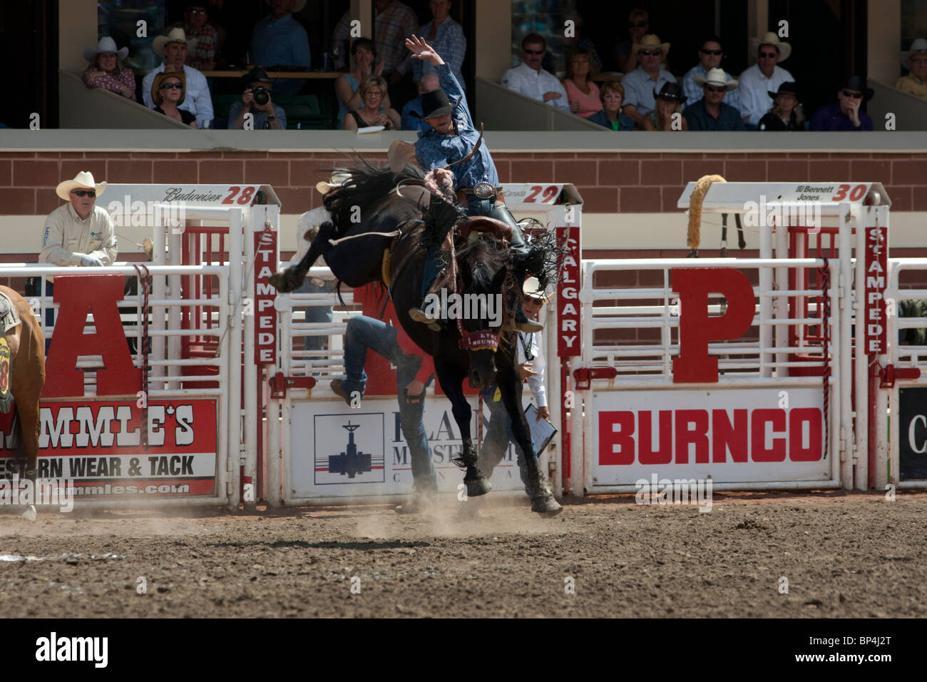 Calgary stampede rodeo hi-res stock photography and images - Alamy