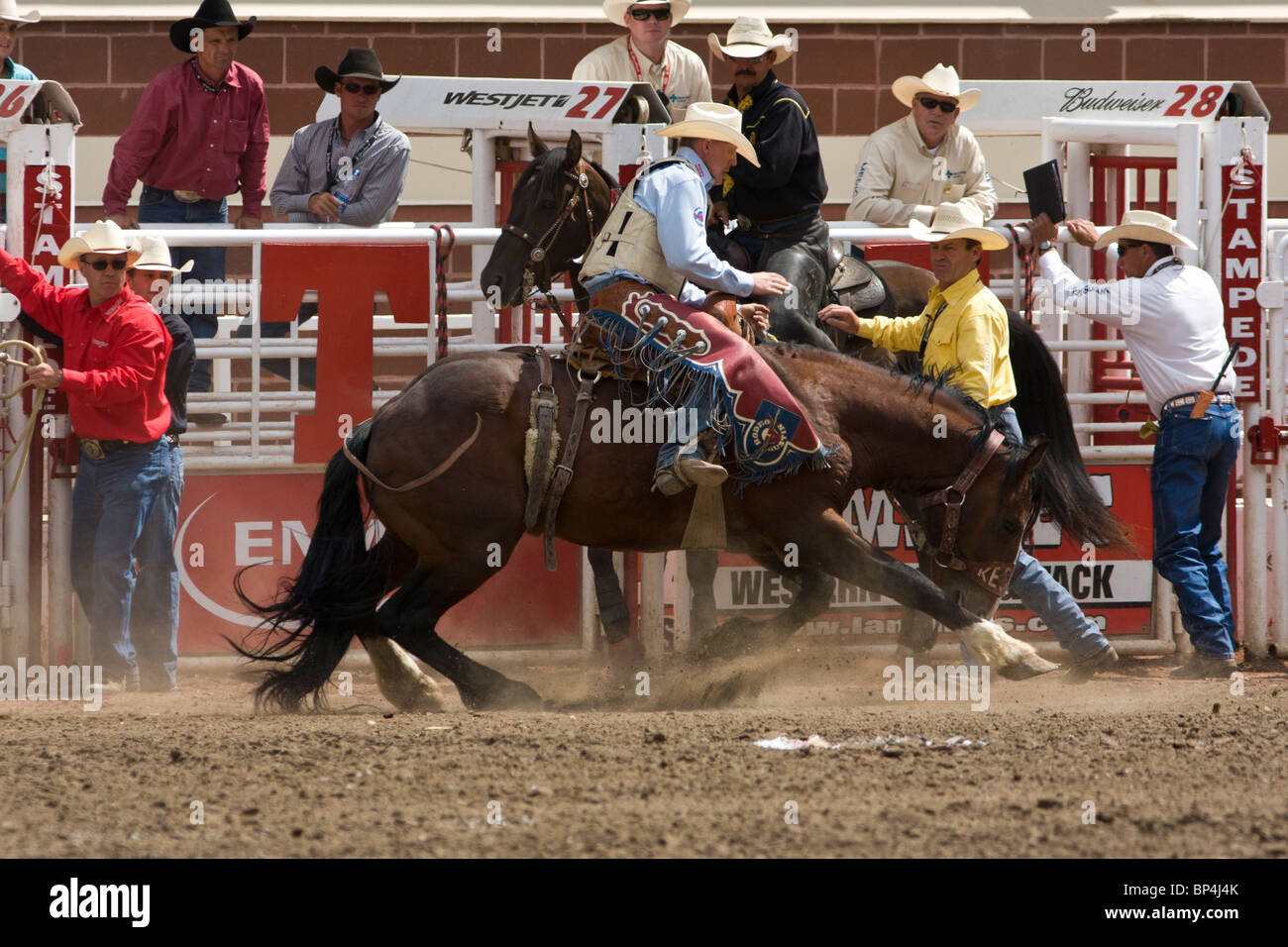 Calgary stampede rodeo hi-res stock photography and images - Alamy