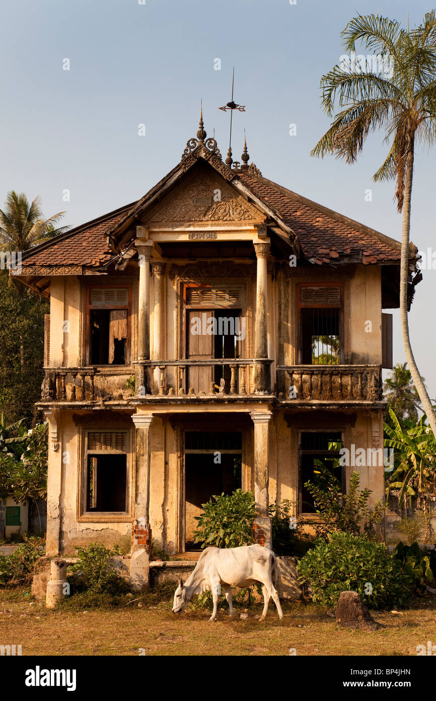 Old French-colonial villa and grazing cow - Kandal Province, Cambodia ...