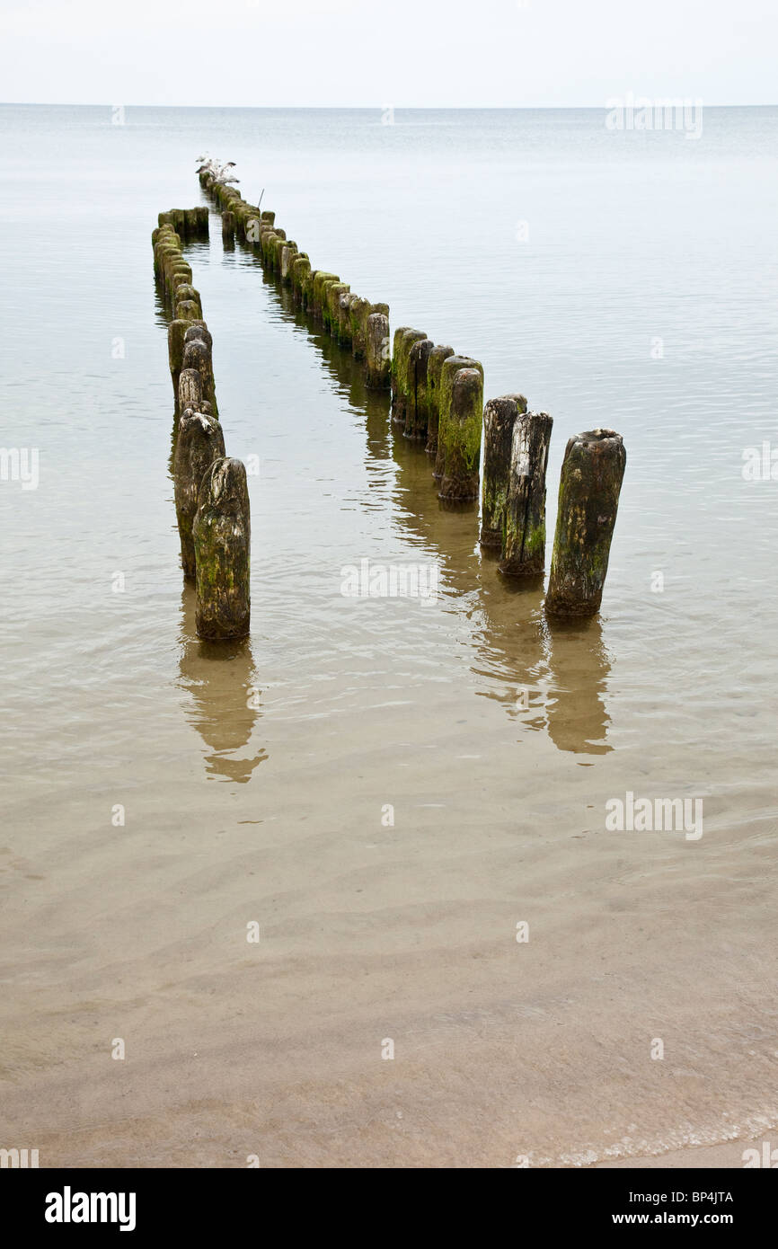 Breakwaters are structures constructed on coasts as part of coastal ...