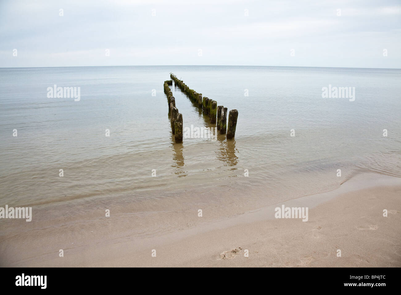 Breakwaters are structures constructed on coasts as part of coastal ...